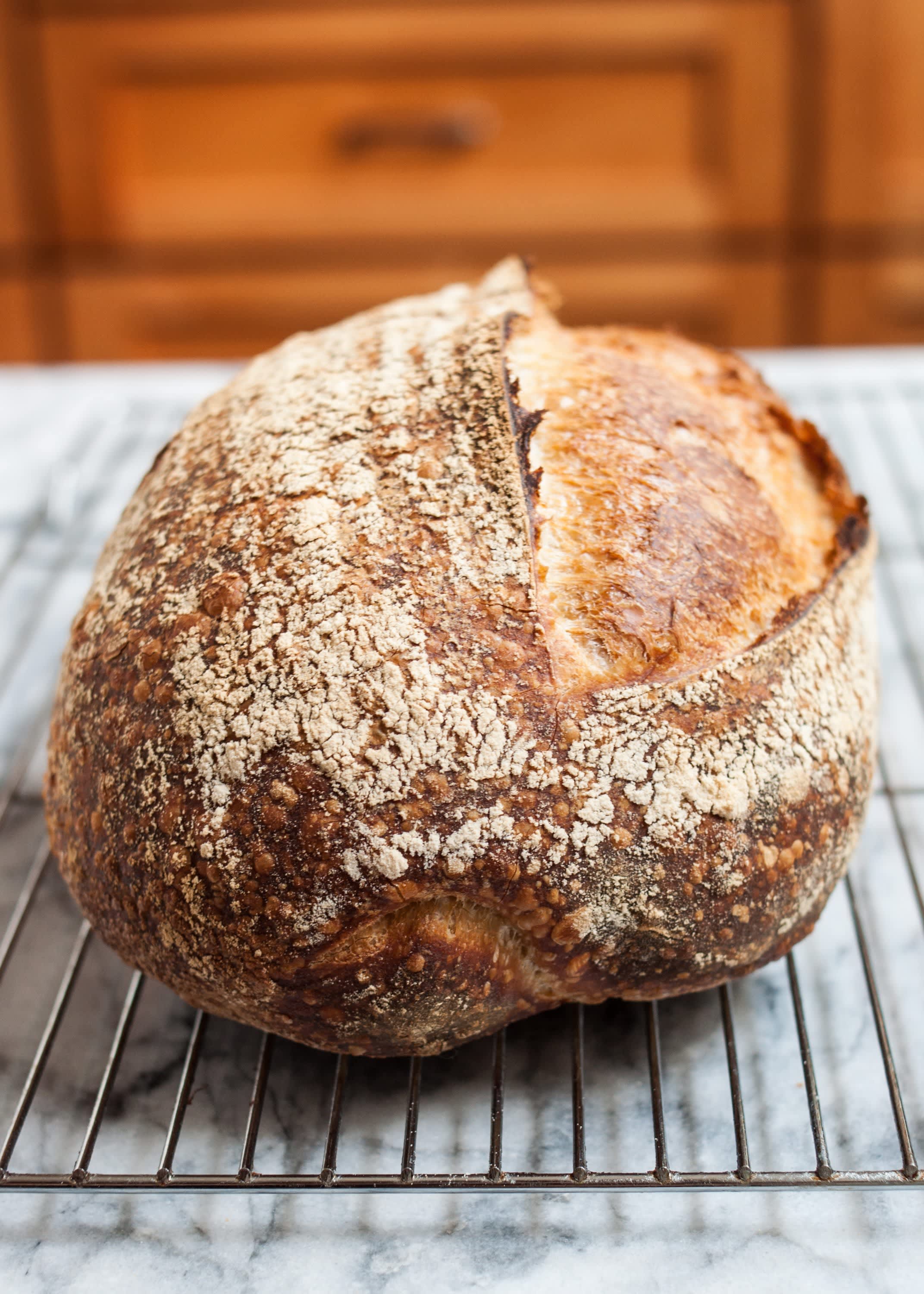 Bread Recipes & Ideas | The Kitchn