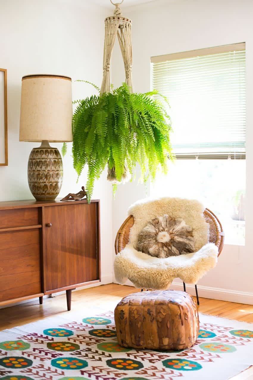 Beautiful Oversized Hanging Plants | Apartment Therapy
