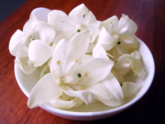 Seasonal Spotlight: Yucca Flowers | The Kitchn