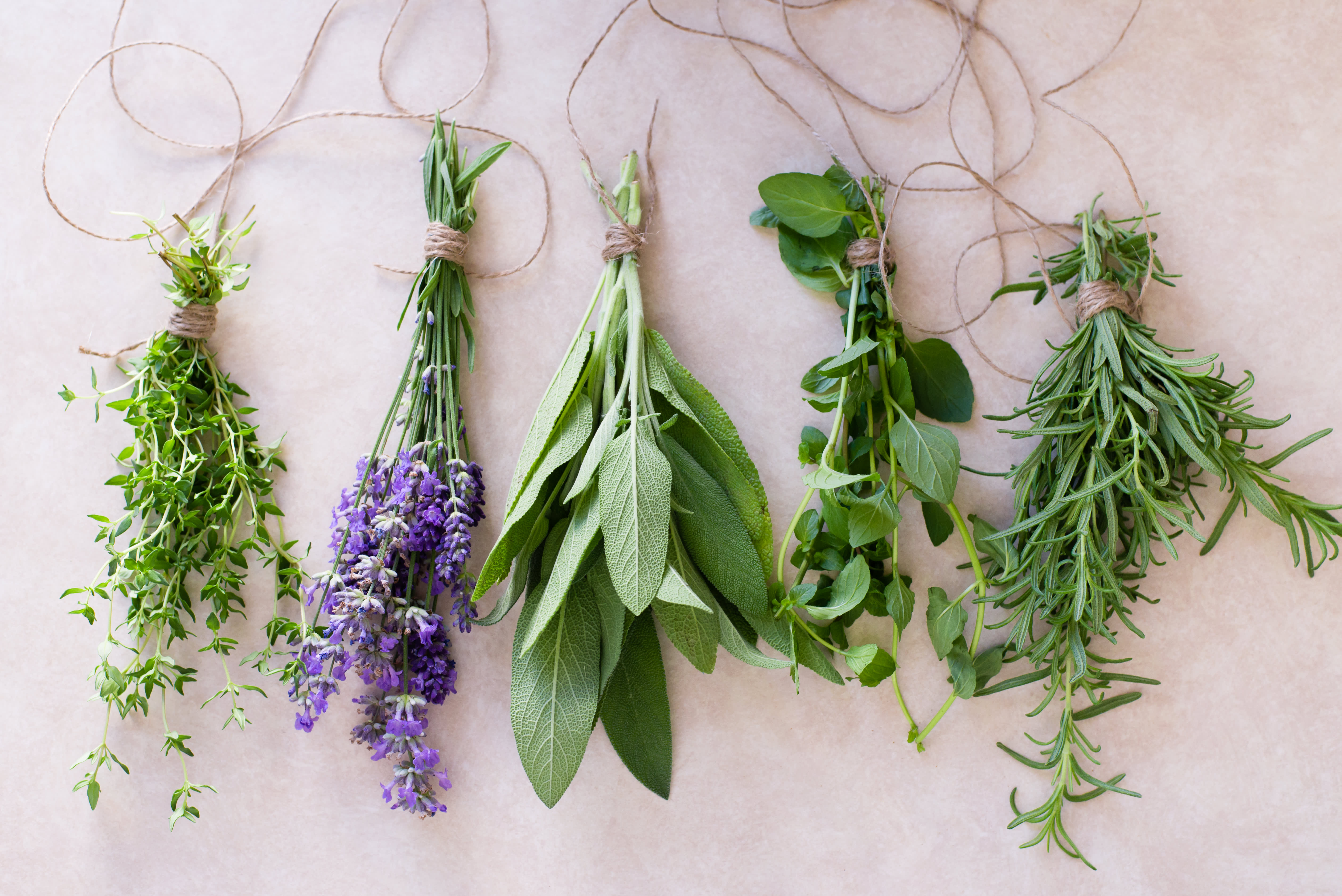 Herbs | Page 12 | The Kitchn