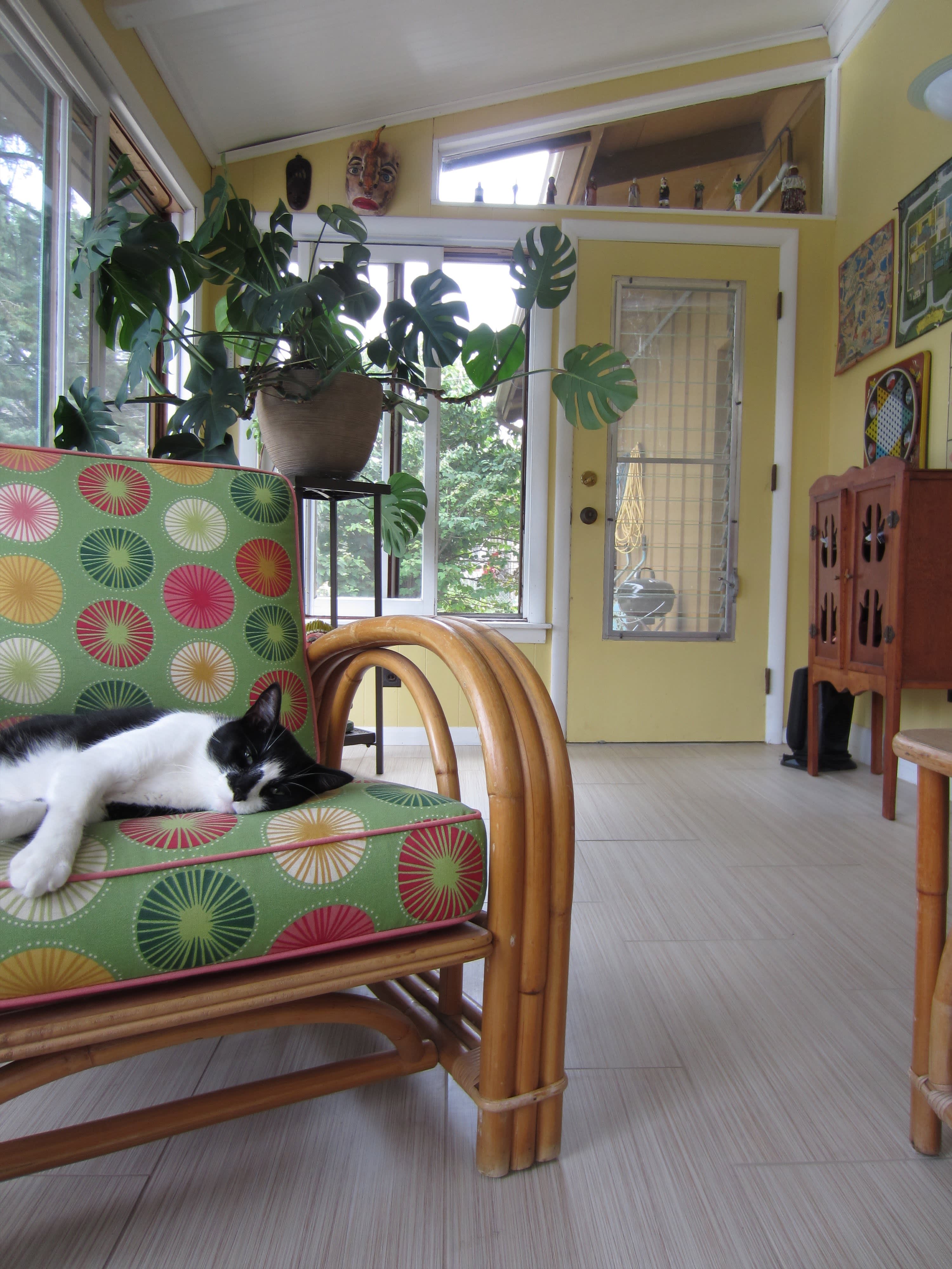 About Mike Hetu | Apartment Therapy