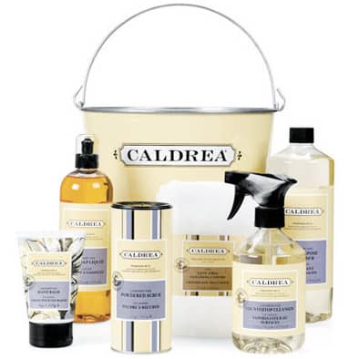 Basic Kitchen Cleaning Supplies | The Kitchn