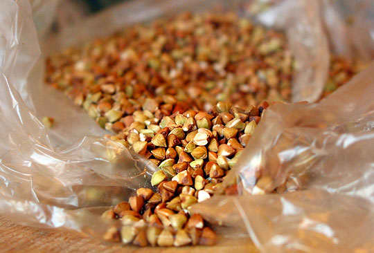 Rice Grains In Skills | Page 3 | The Kitchn