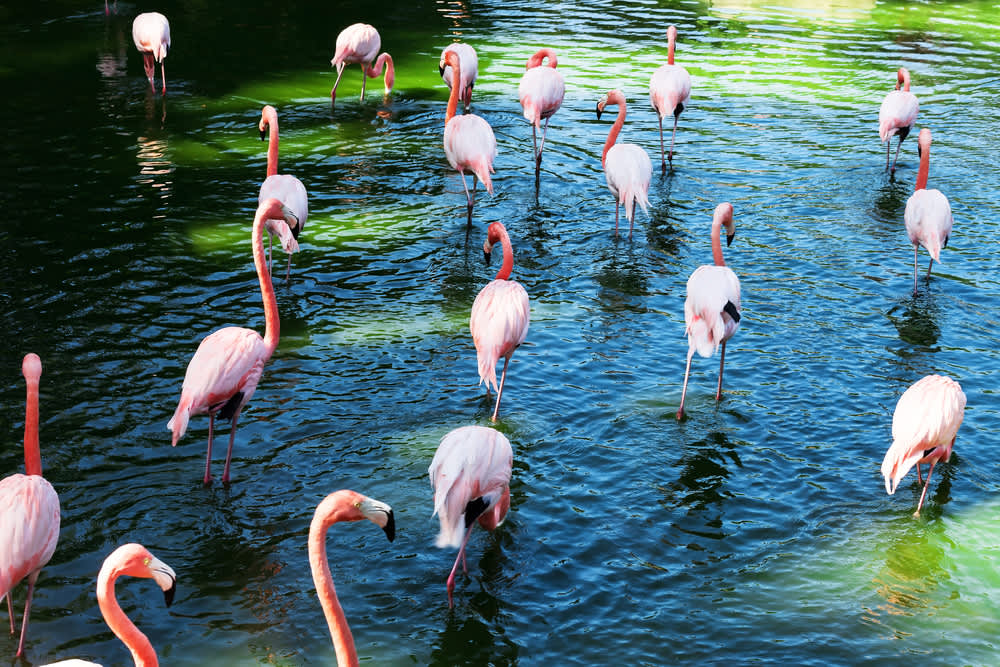 About Edith Zimmerman | Apartment Therapy