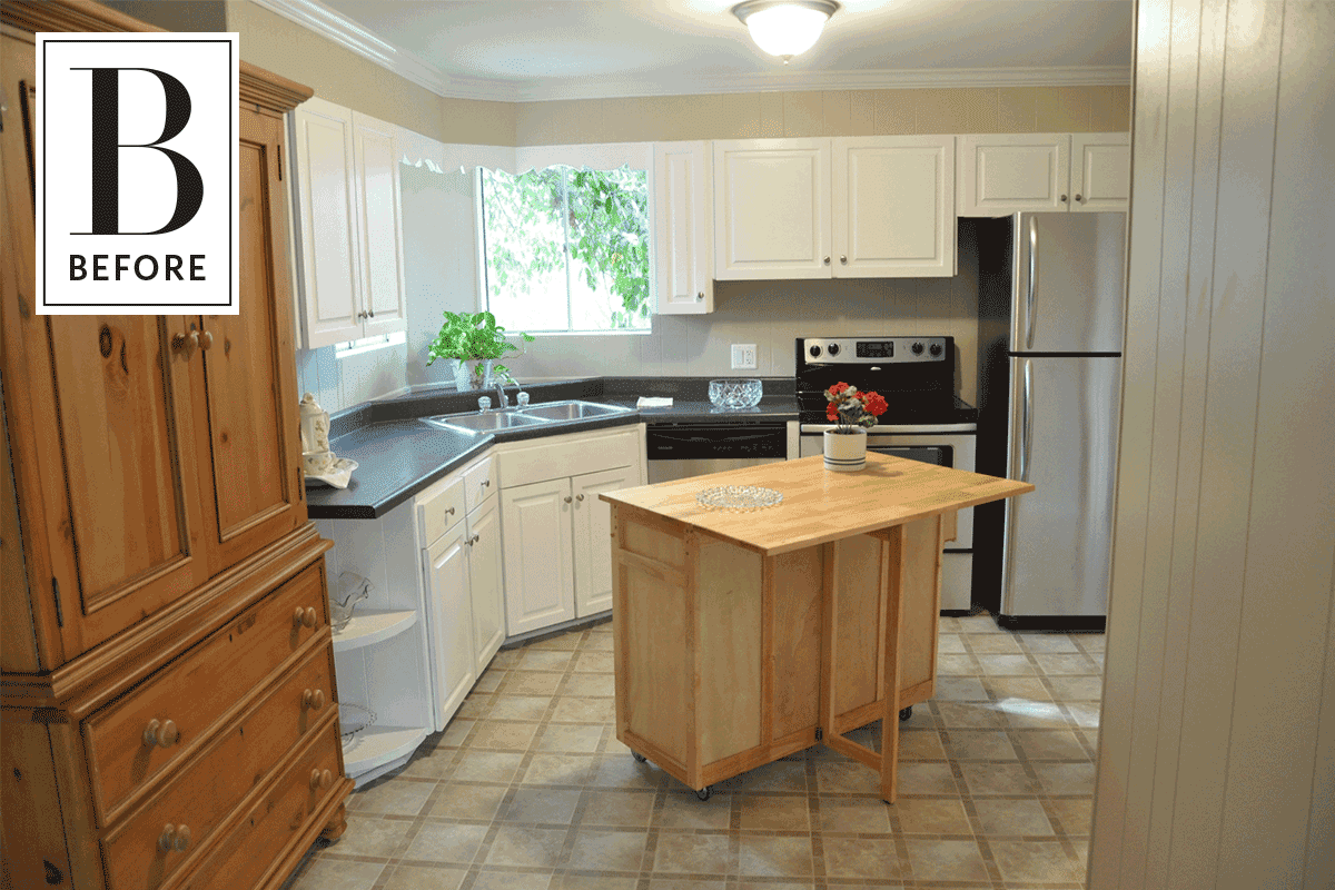 Insect Pest Solutions | The Kitchn