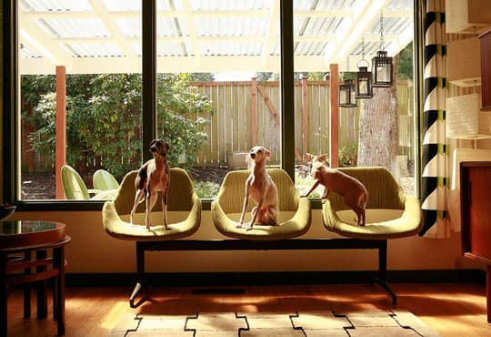 About Heather Blaha | Apartment Therapy