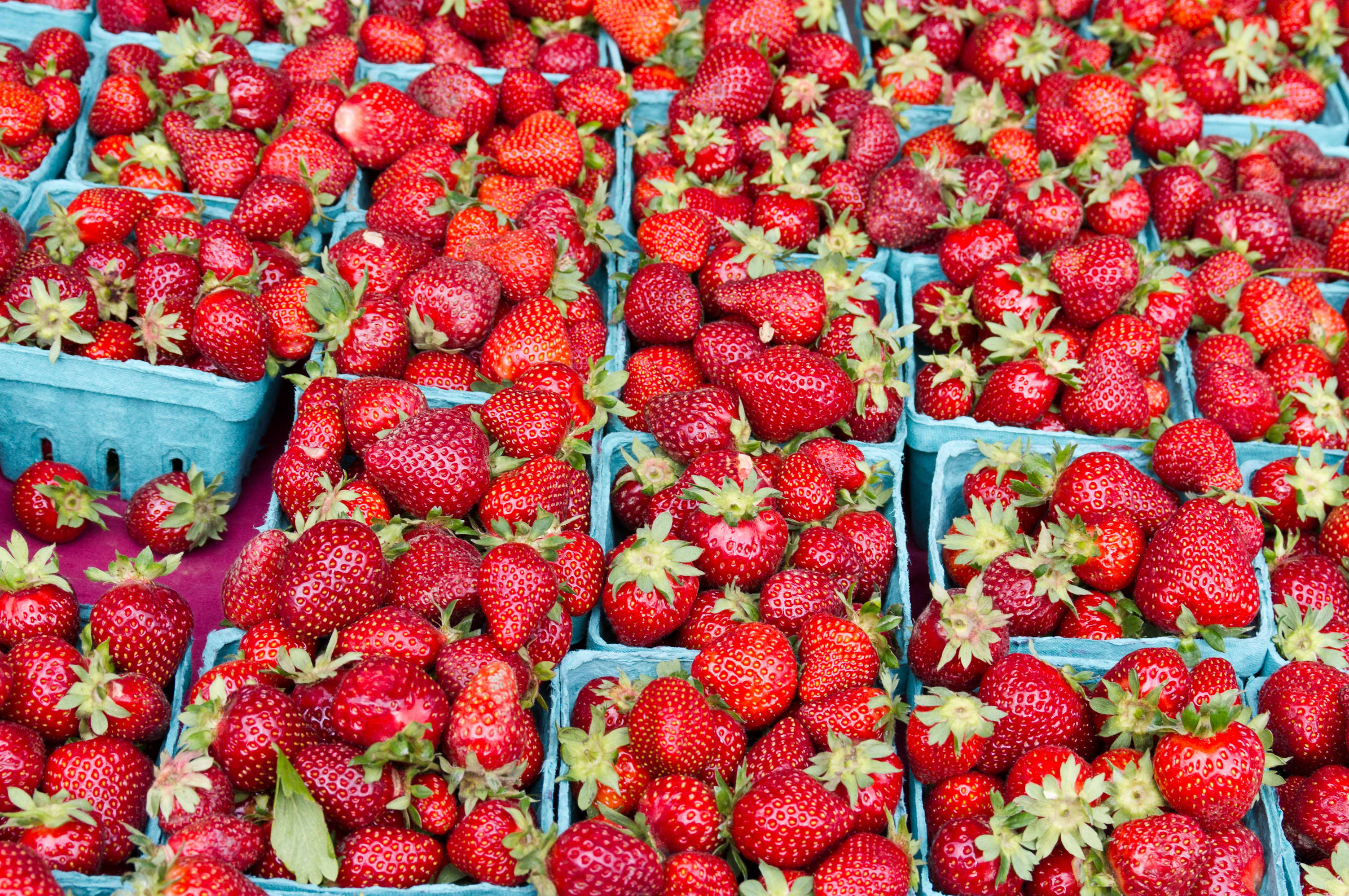 About Morgan Childs | The Kitchn