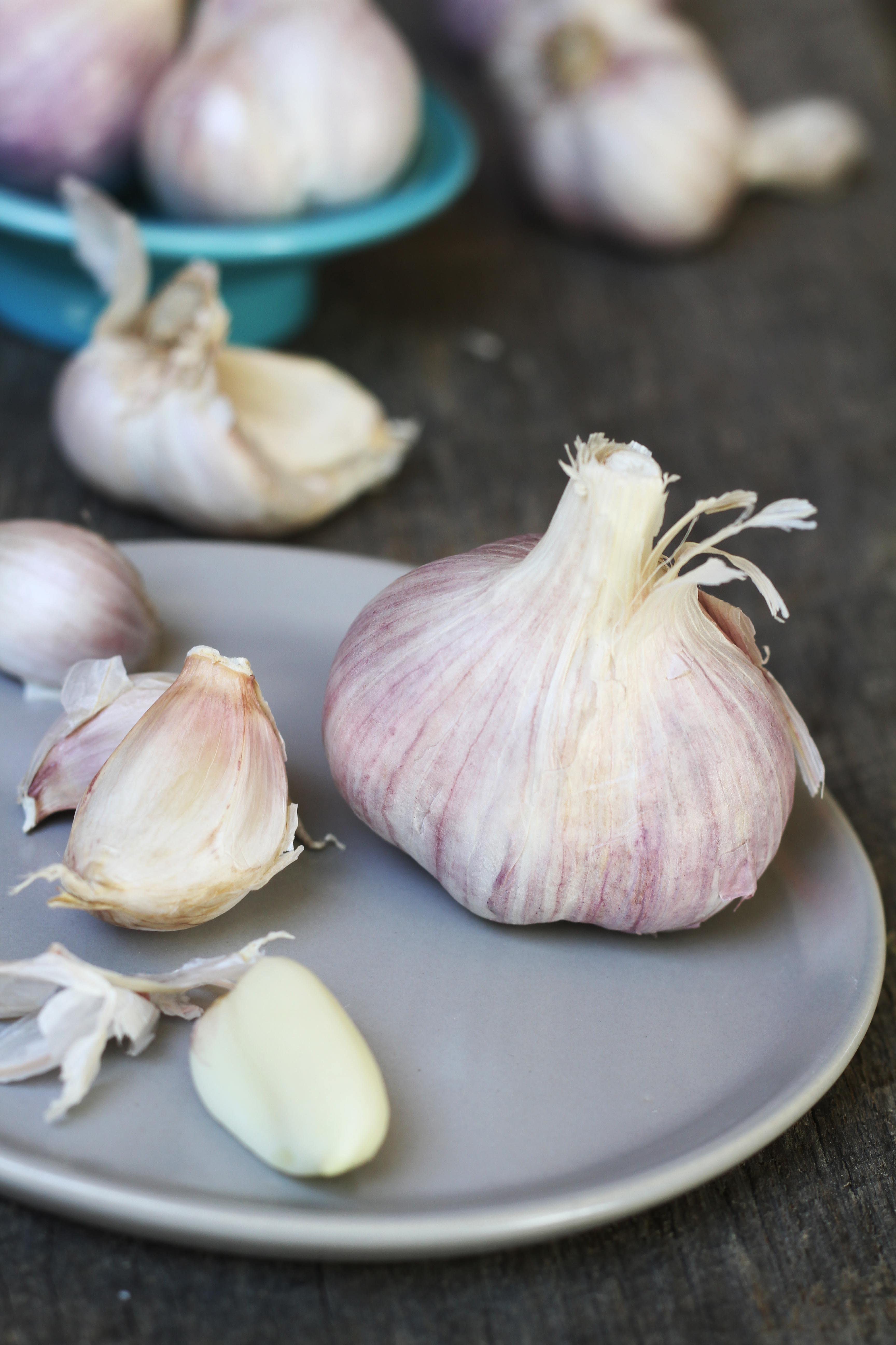 Apartment Therapy Archive - June 11, 2015 | Apartment Therapy