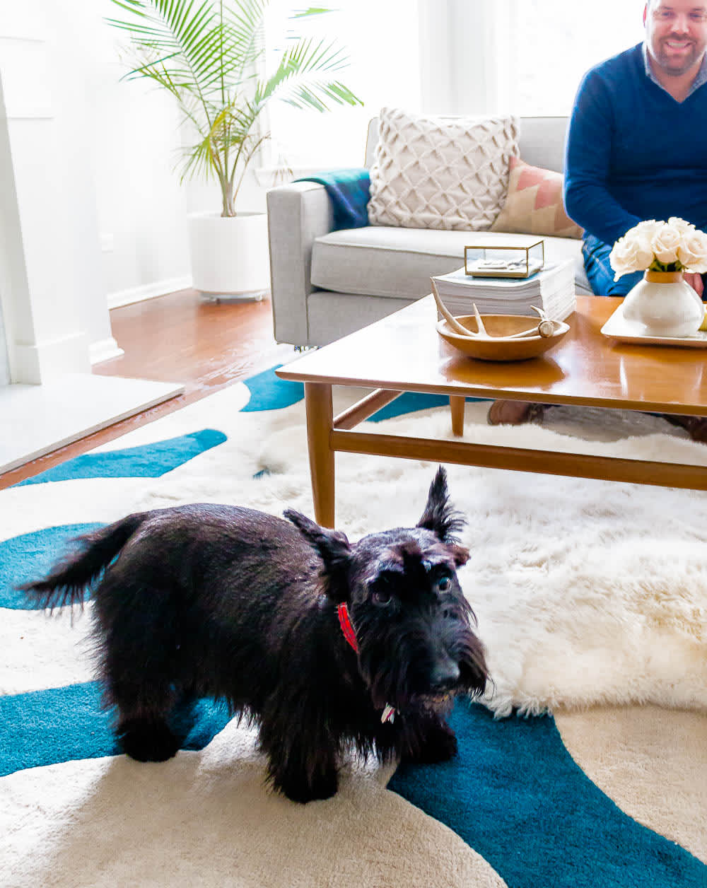 Ruggable Fan Fave Rug Bundle Sale July 2021 | The Kitchn