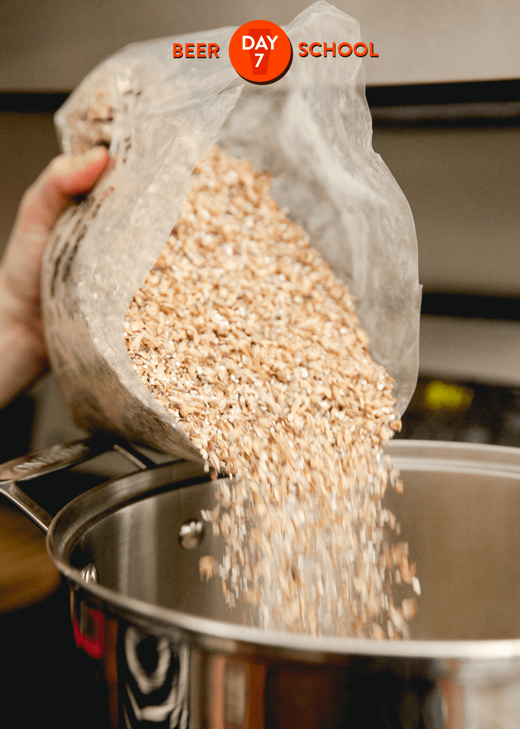 Beer School | The Kitchn