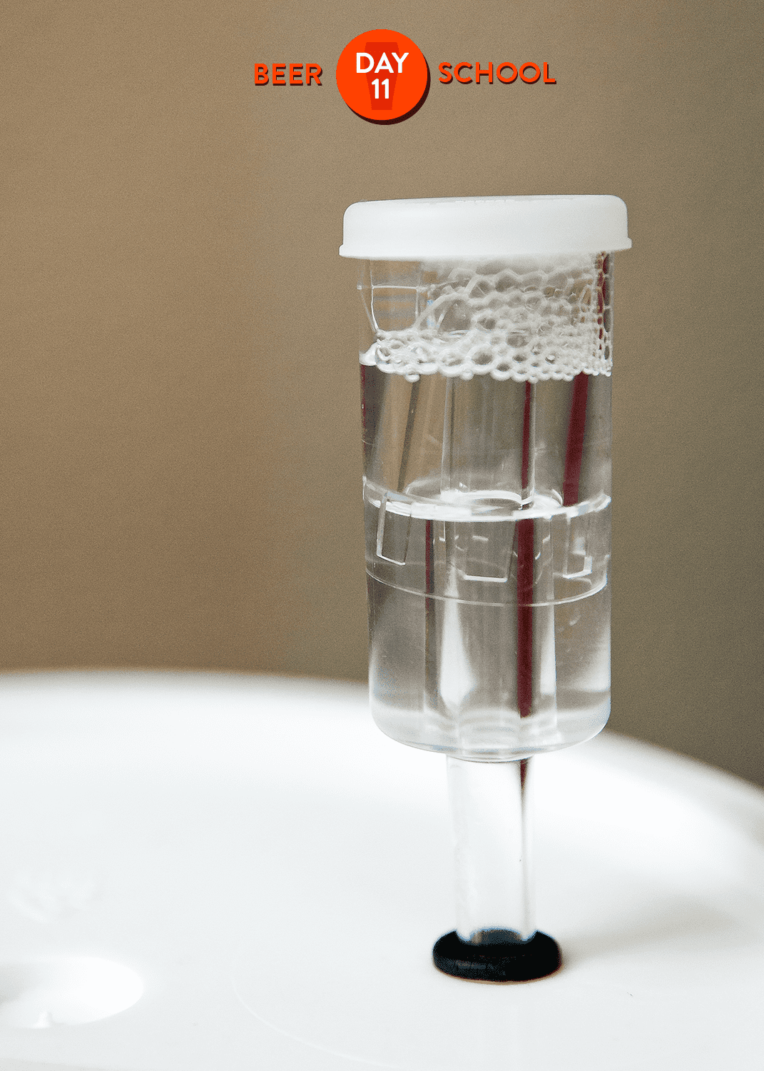 Beer School | The Kitchn