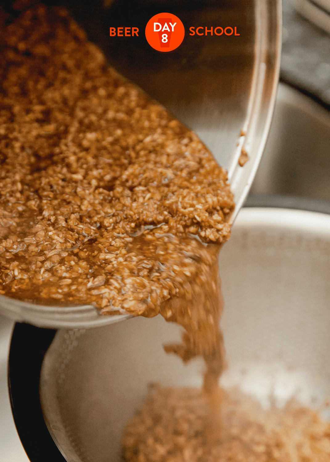 Beer School | The Kitchn