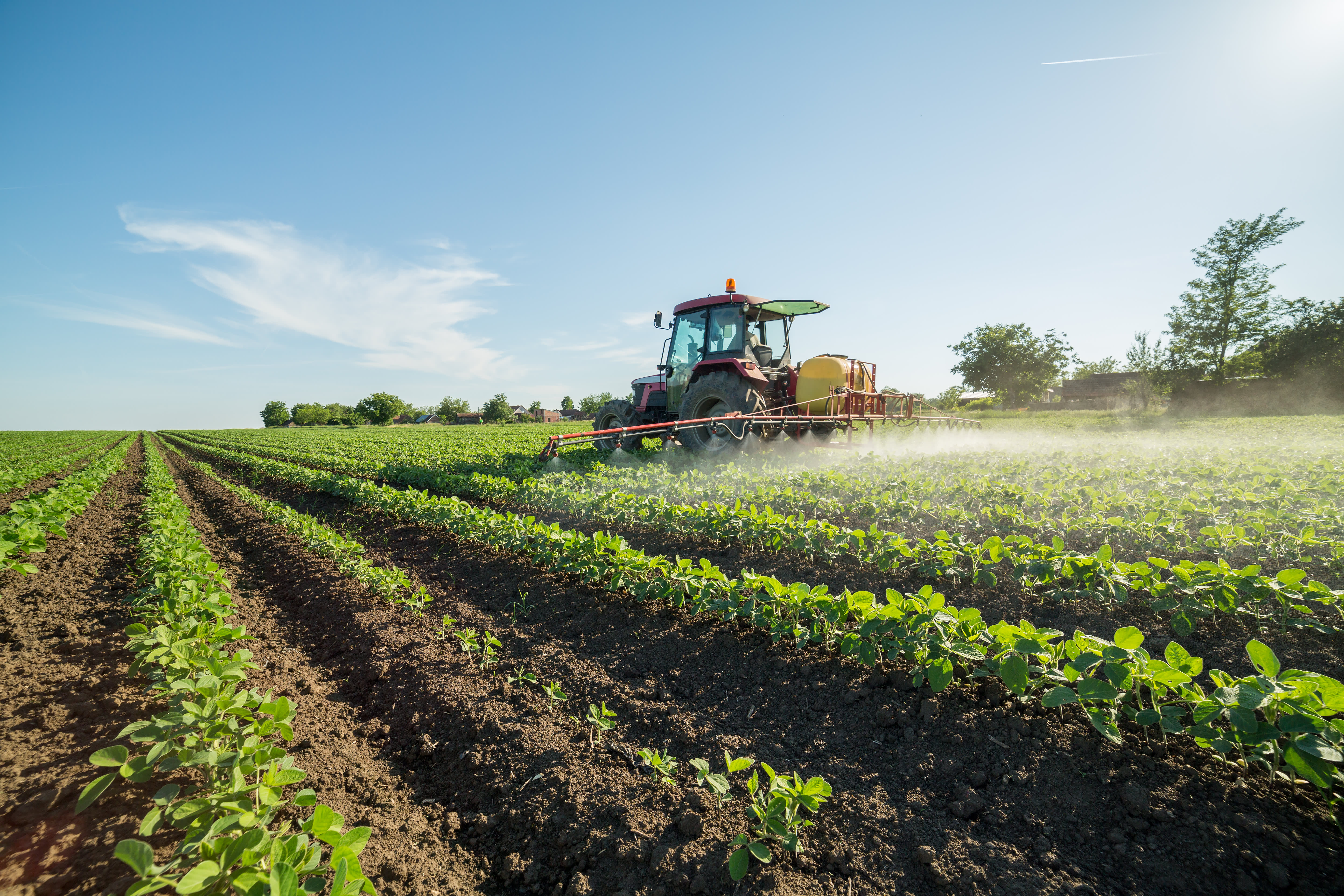 Farming | The Kitchn