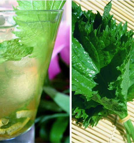 Herbs | Page 10 | The Kitchn