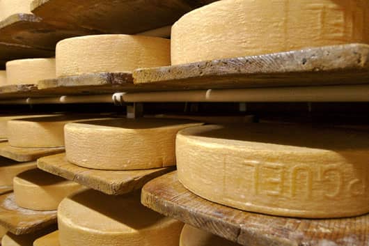 Dairy & Milk | Page 3 | The Kitchn