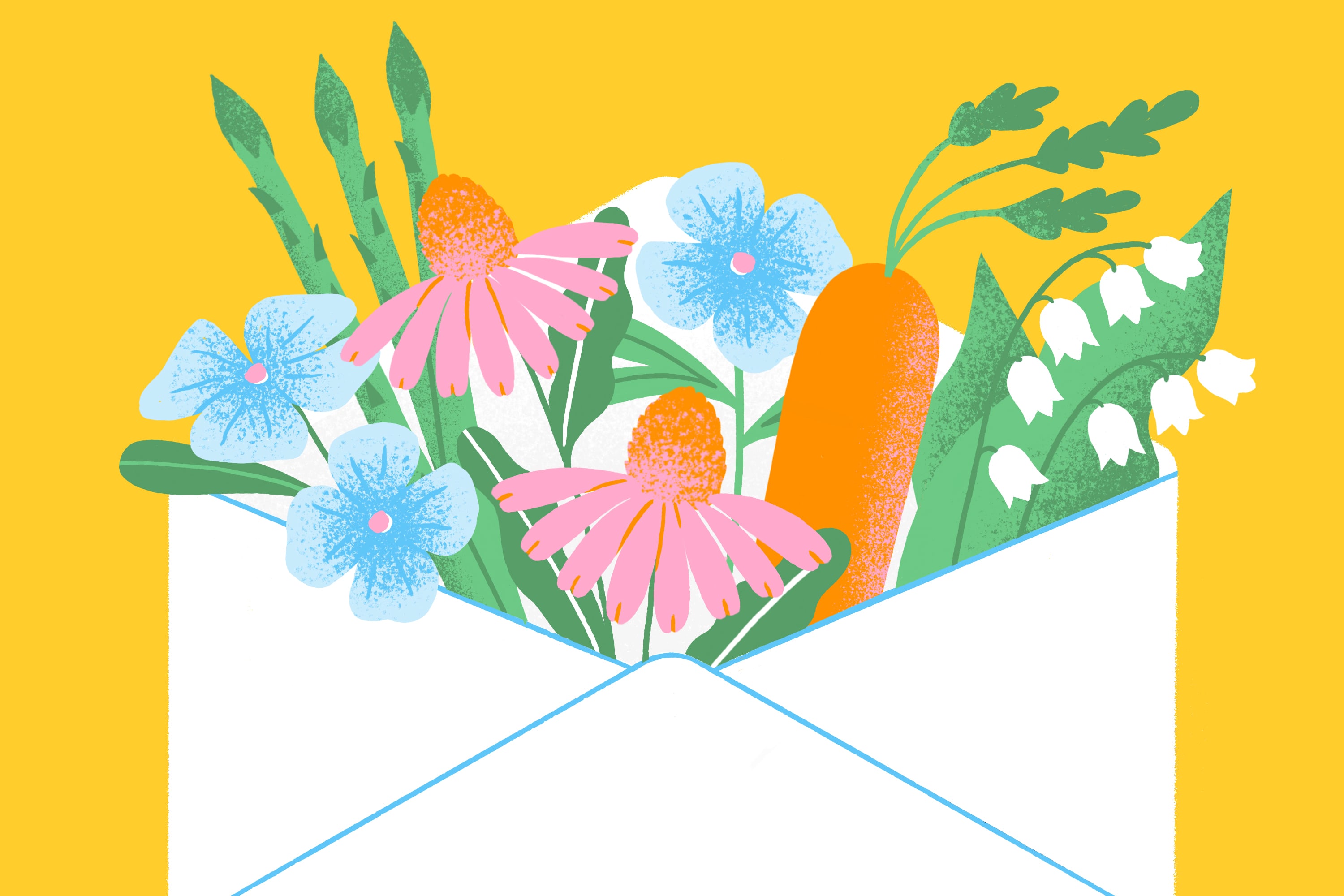 About Anna Lee Beyer | The Kitchn