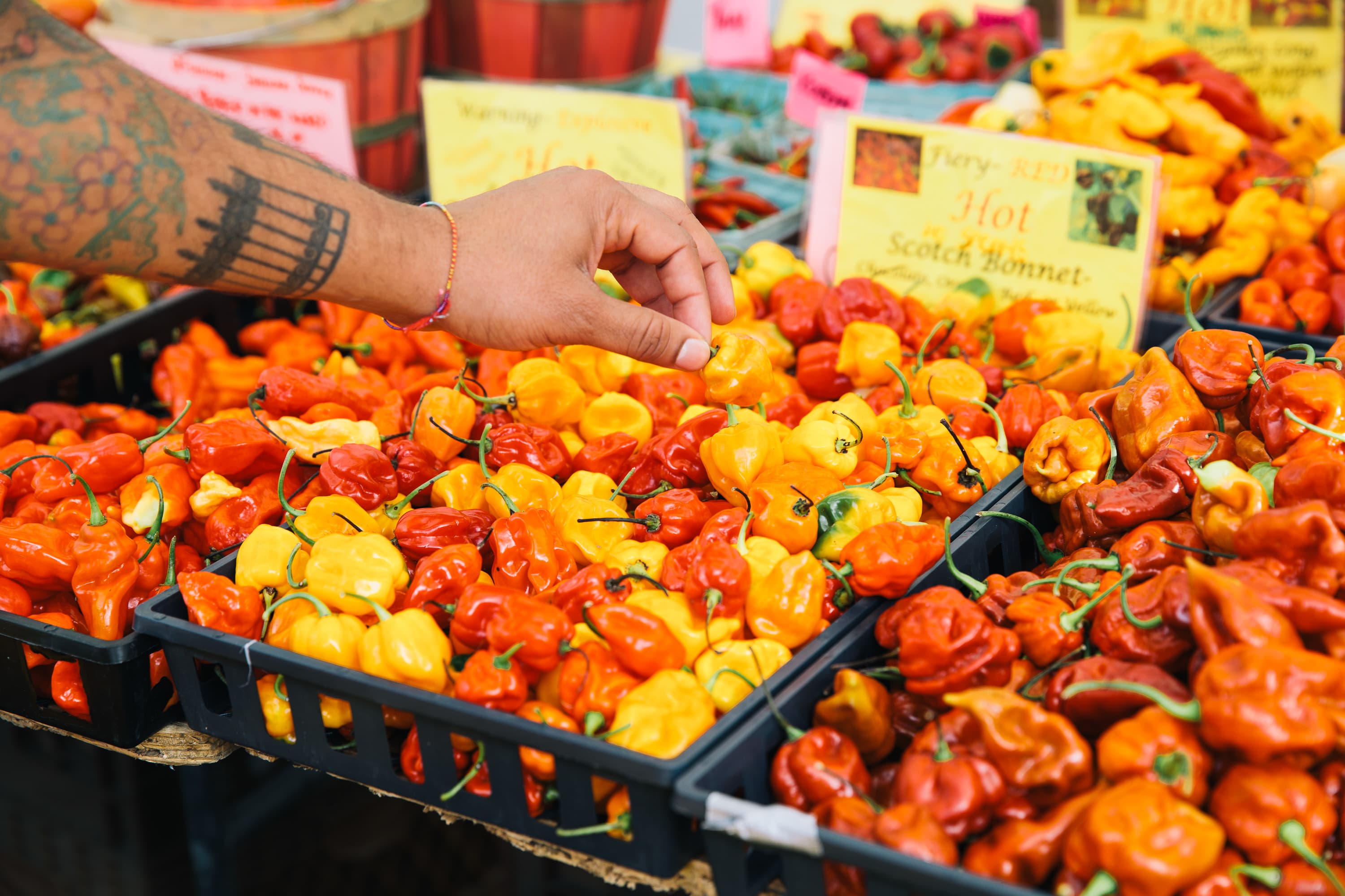 The 10 Best Tips for Shopping for Meat, According to Butchers | The Kitchn