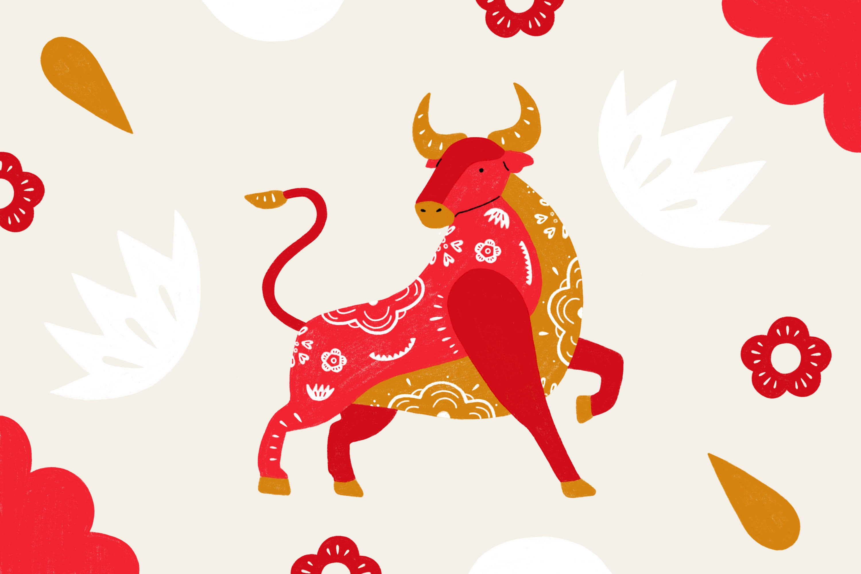 About Lilly Jan | Apartment Therapy