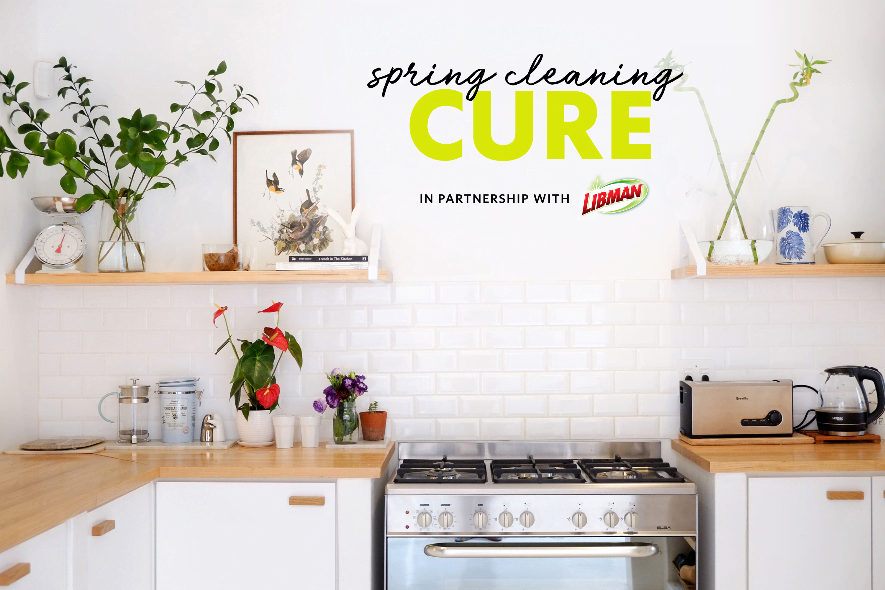 Create Your Own Free Workbook And Give Your Home Its Deepest Spring ...