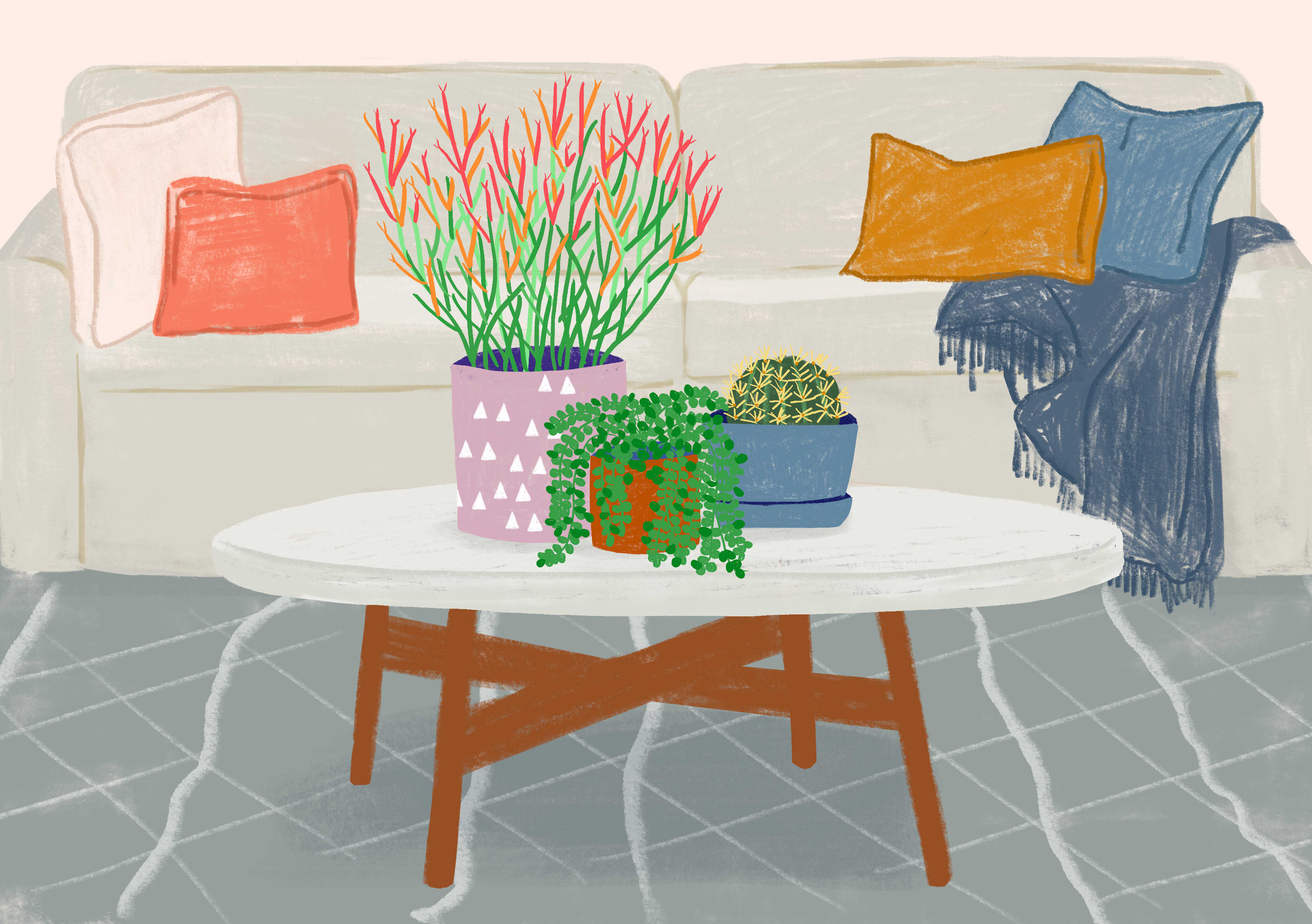 Houseplants | Page 8 | Apartment Therapy