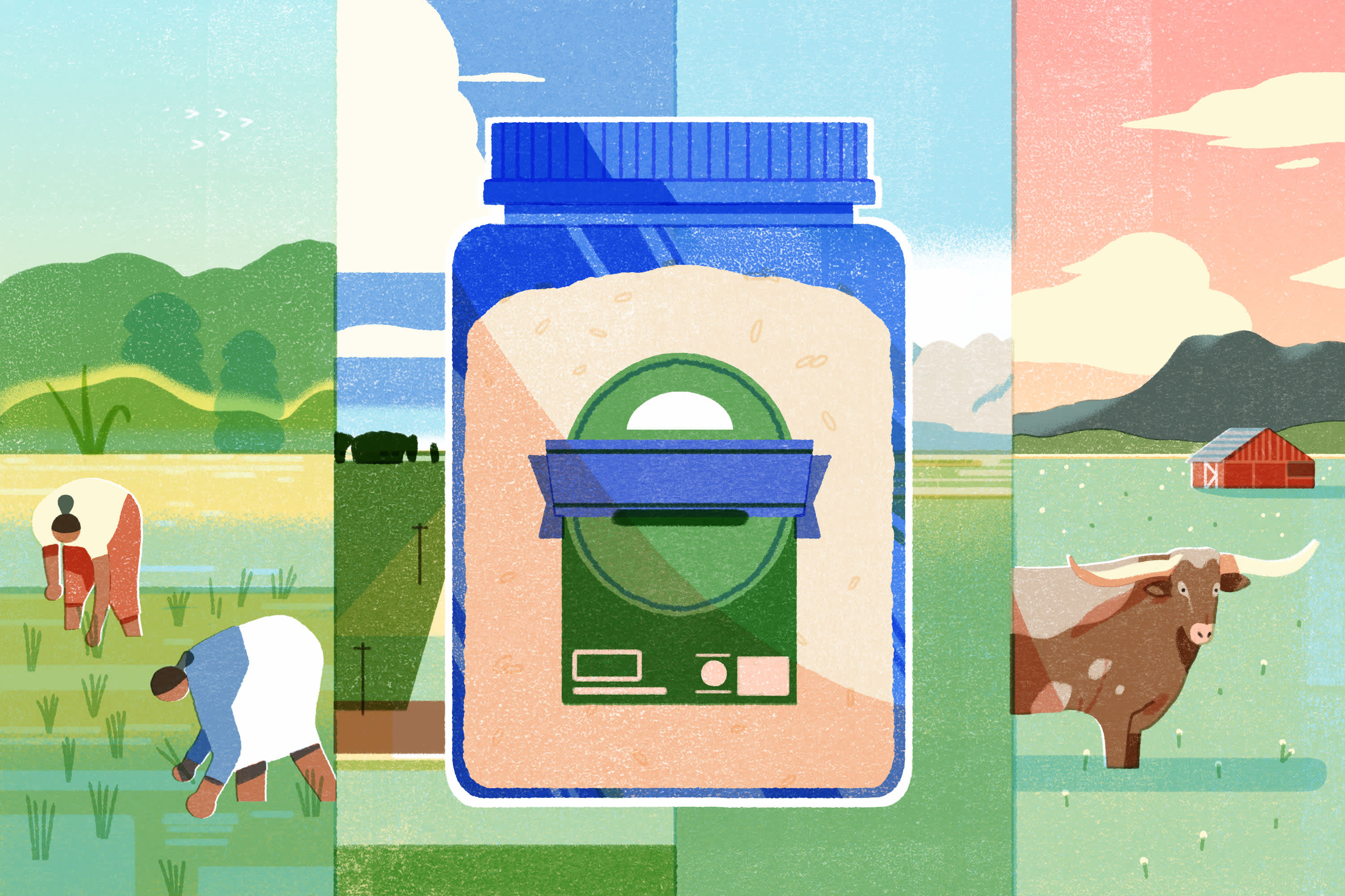 Where Is My Milk From?: Tracing the Dairy In Your Fridge | The Kitchn