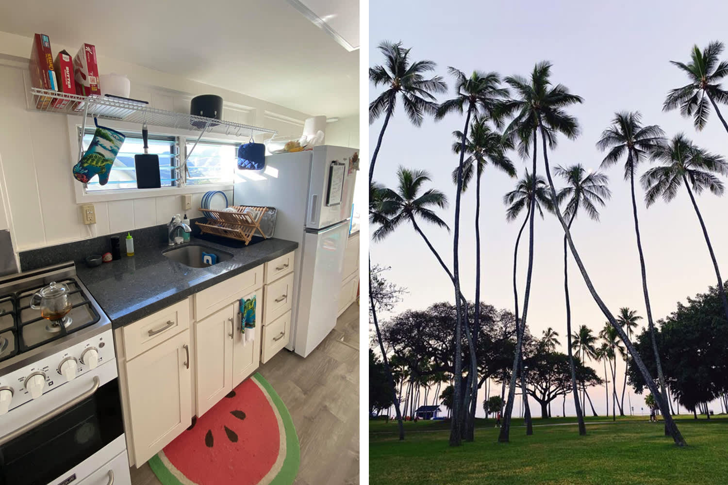 Tropical Kitchen Hawaii