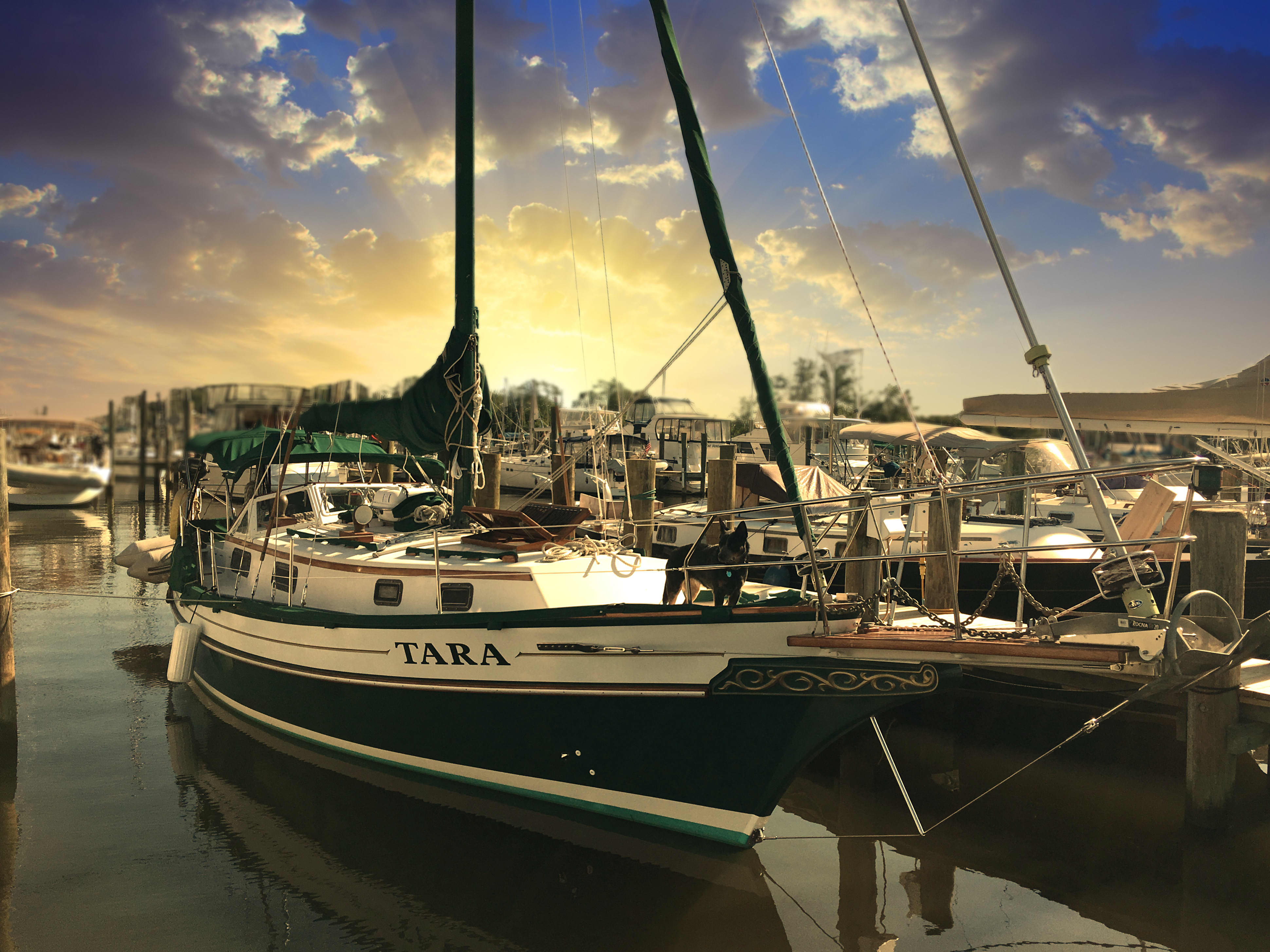 About TJ Butler | Apartment Therapy