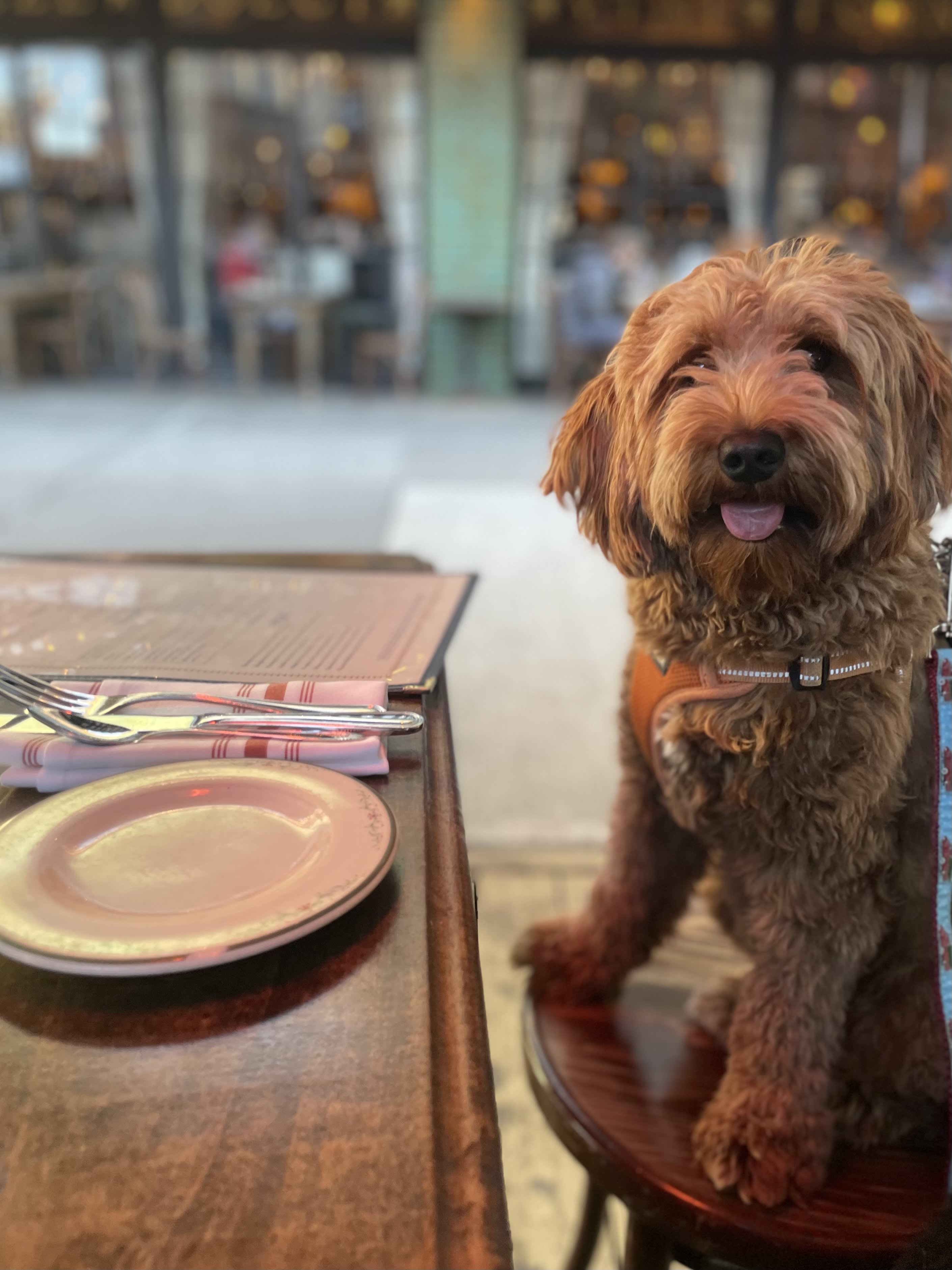 I Tested Universal Yums' Snack Subscription 2025 (Review with Photos ...