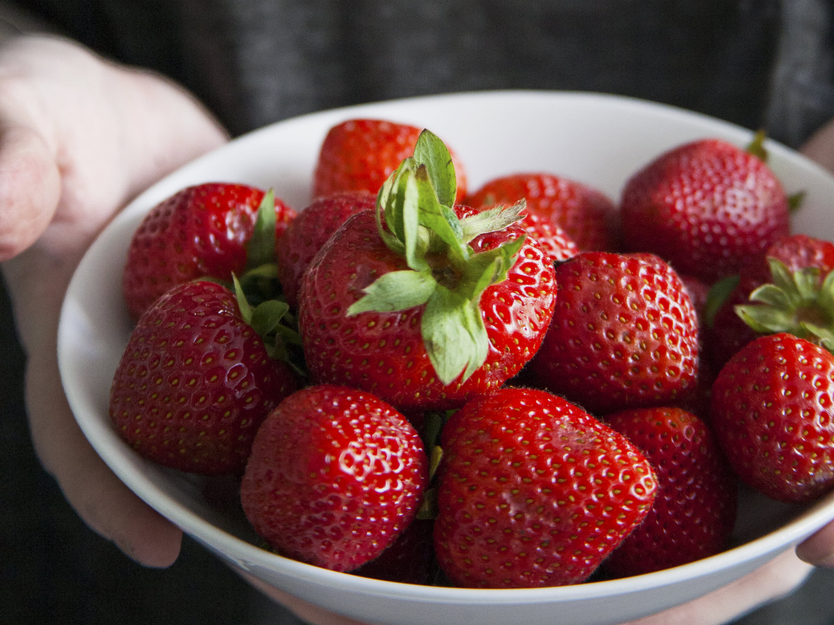 Morgan Pryor's Recent Articles | The Kitchn