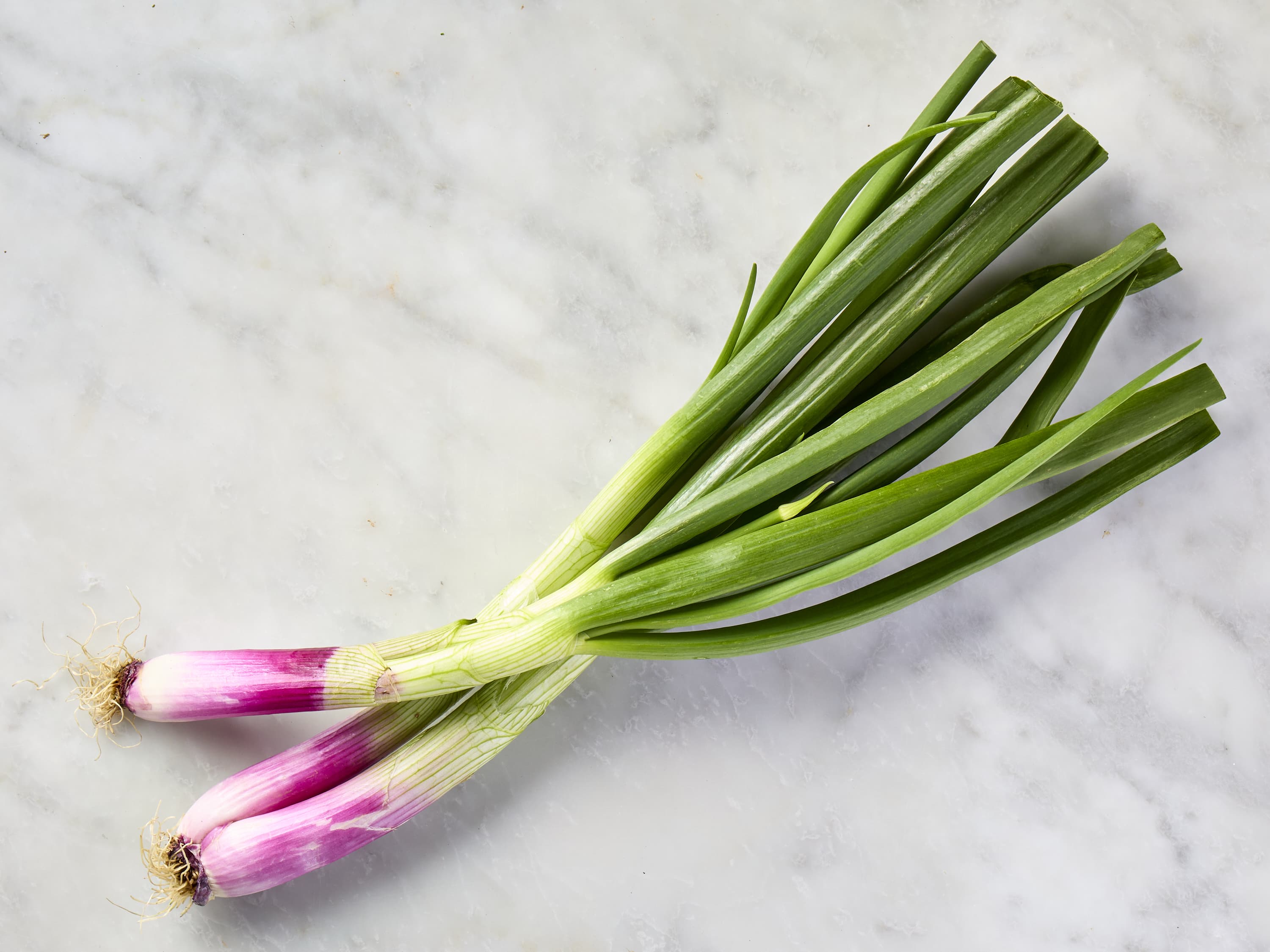 Spring Onion Vegetable
