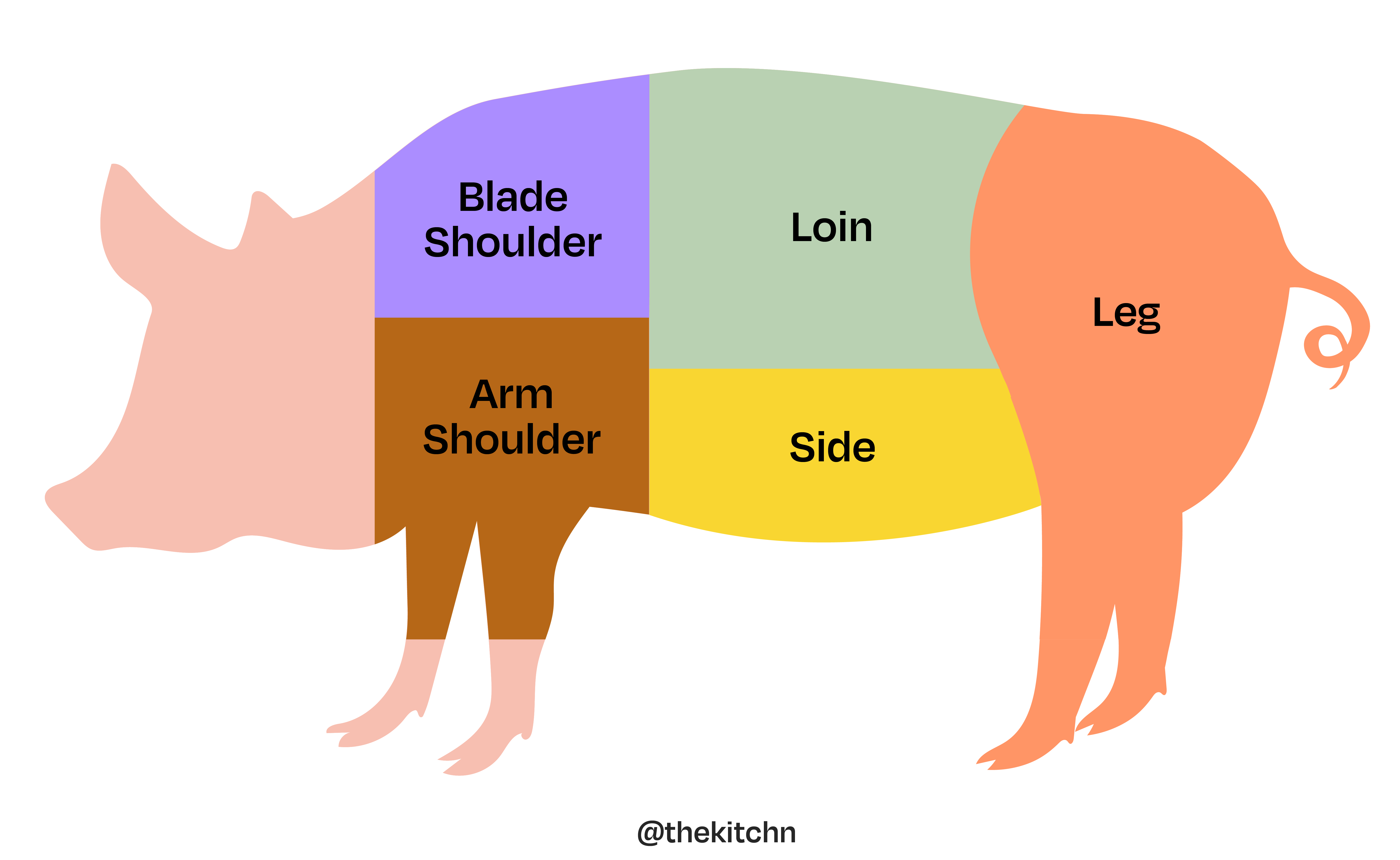 Pork Shoulder Diagram