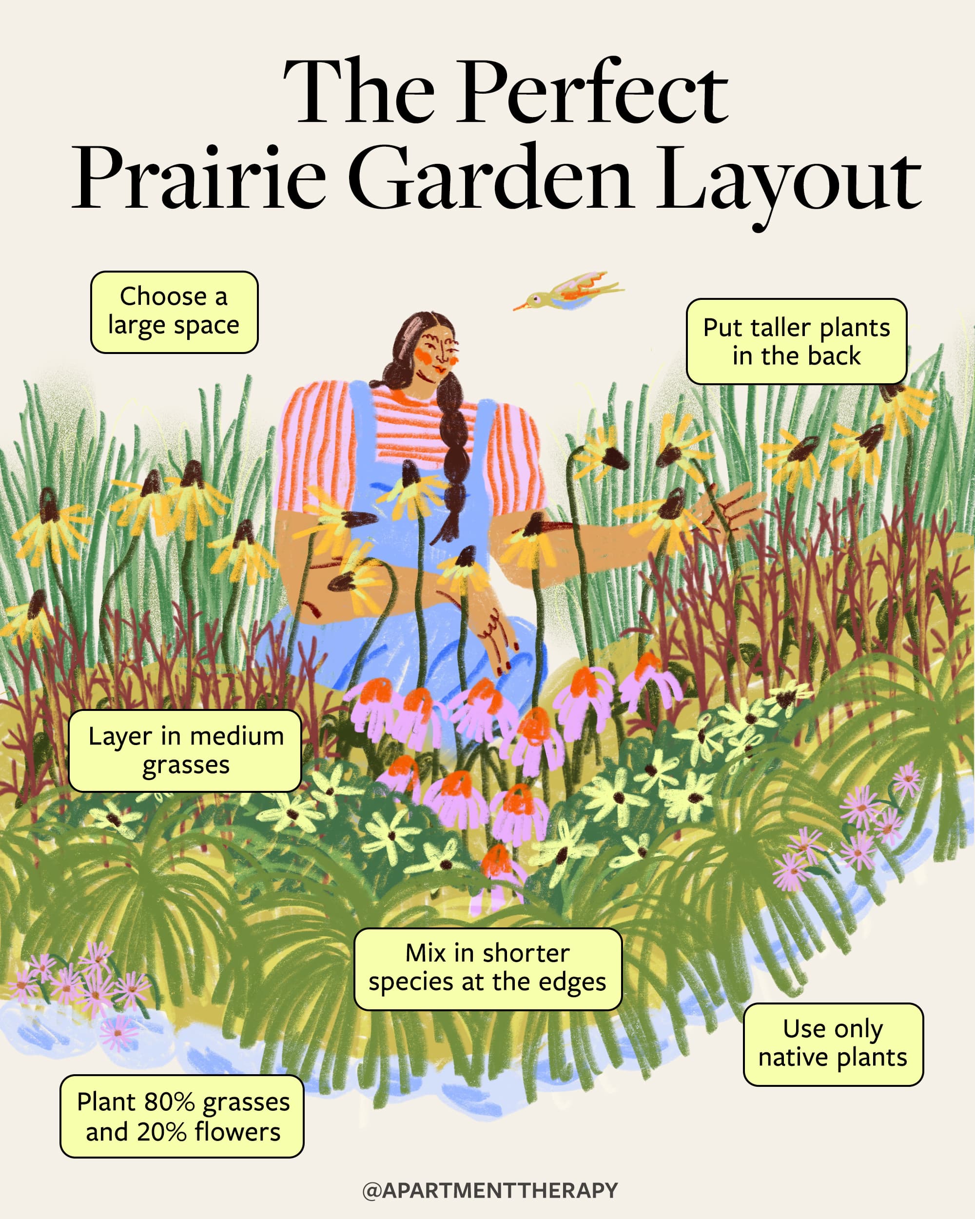 Prairie Grass Garden Plan
