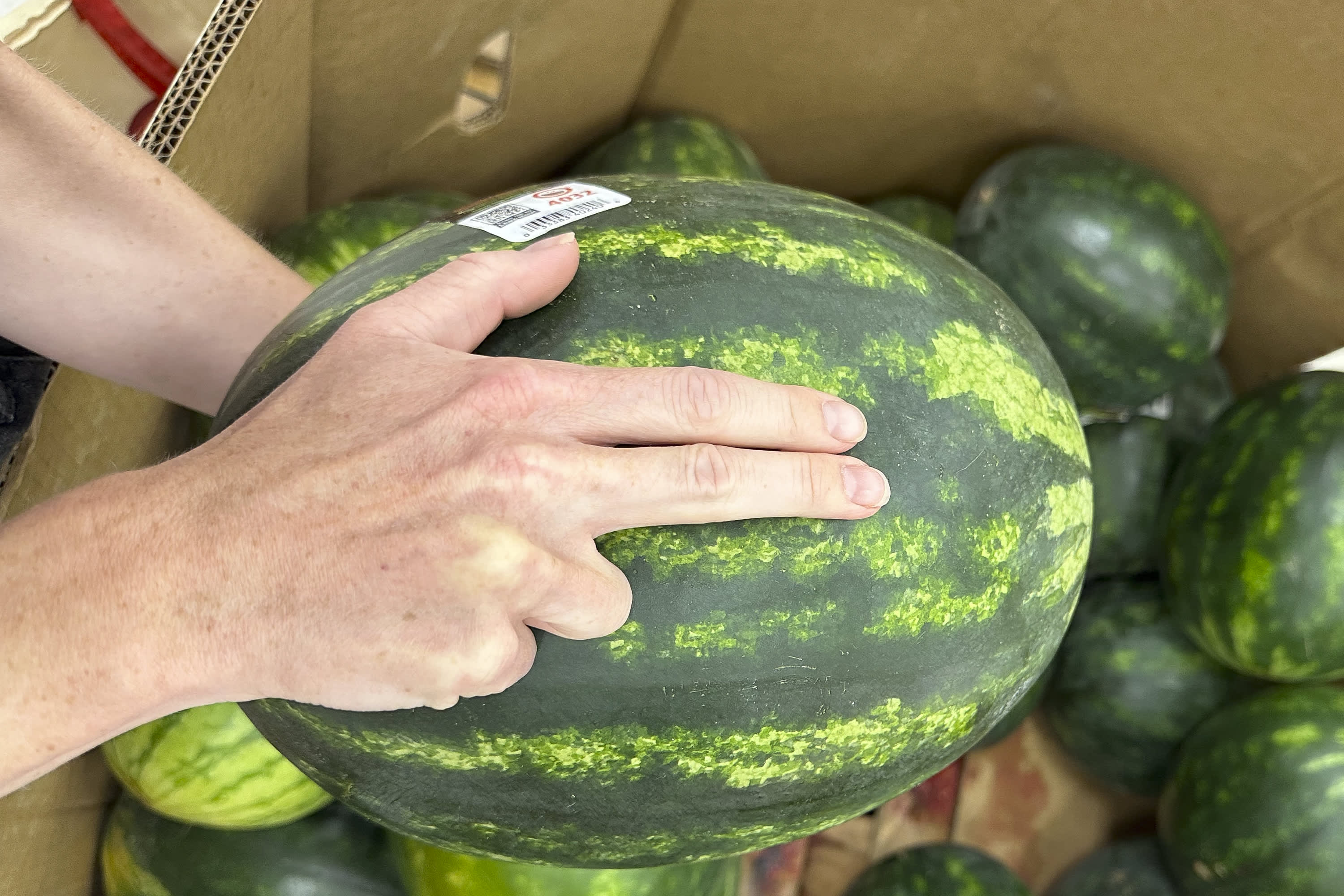 How to Pick Out the Best Watermelon Using the “Two-Finger” Rule | The ...