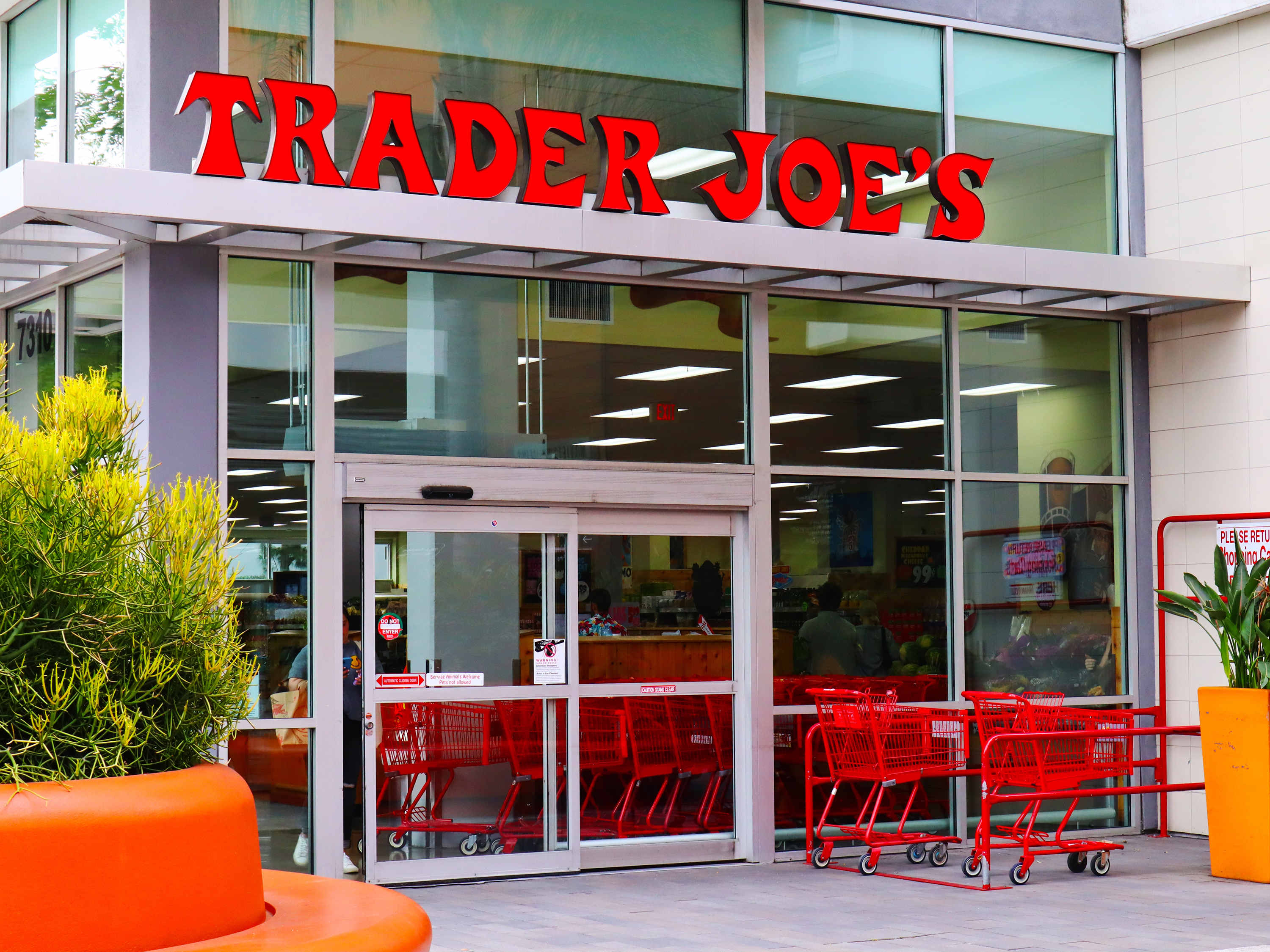 Olive Trees Are Back at Trader Joe’s | The Kitchn