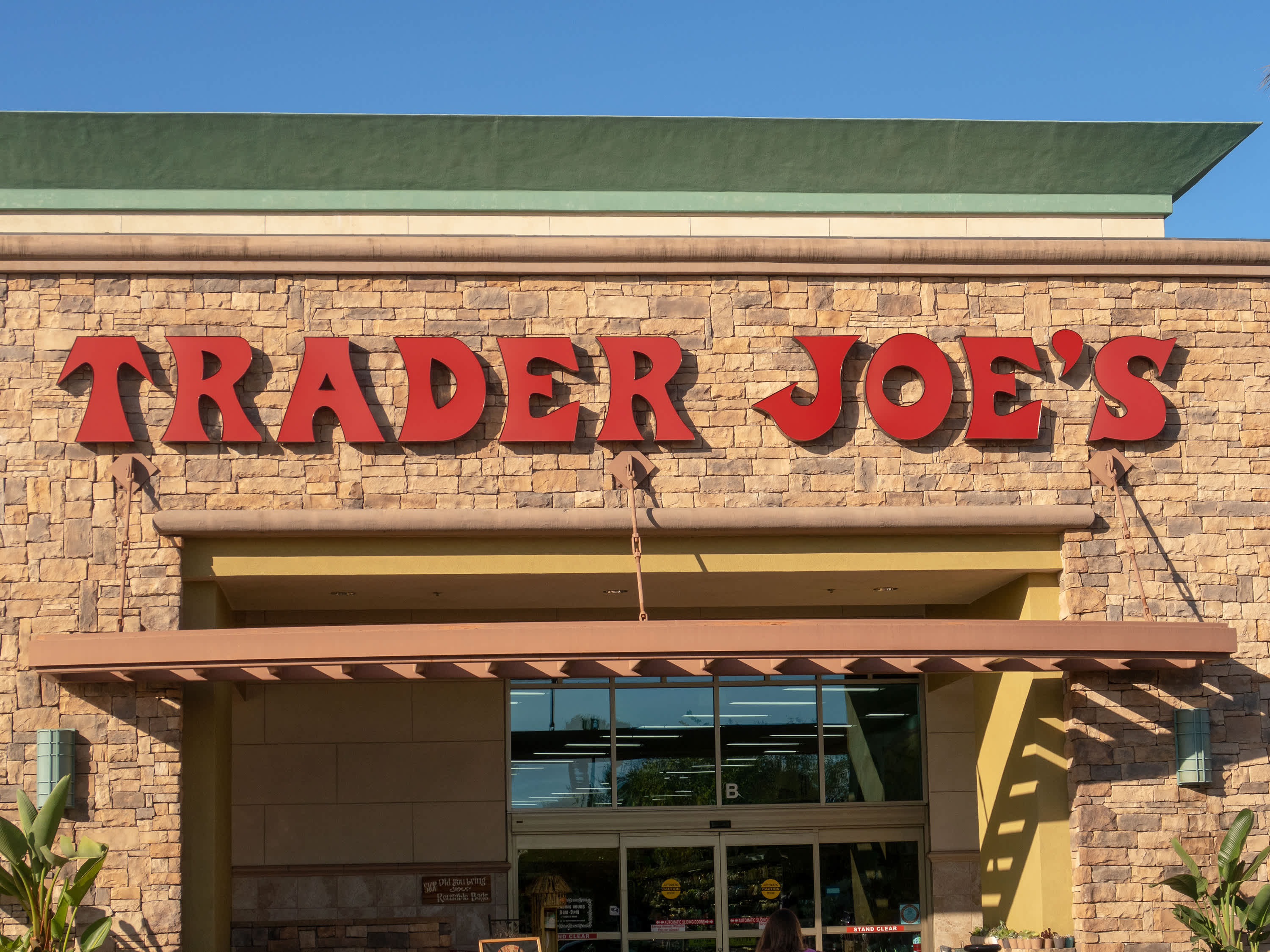 Olive Trees Are Back at Trader Joe’s | The Kitchn