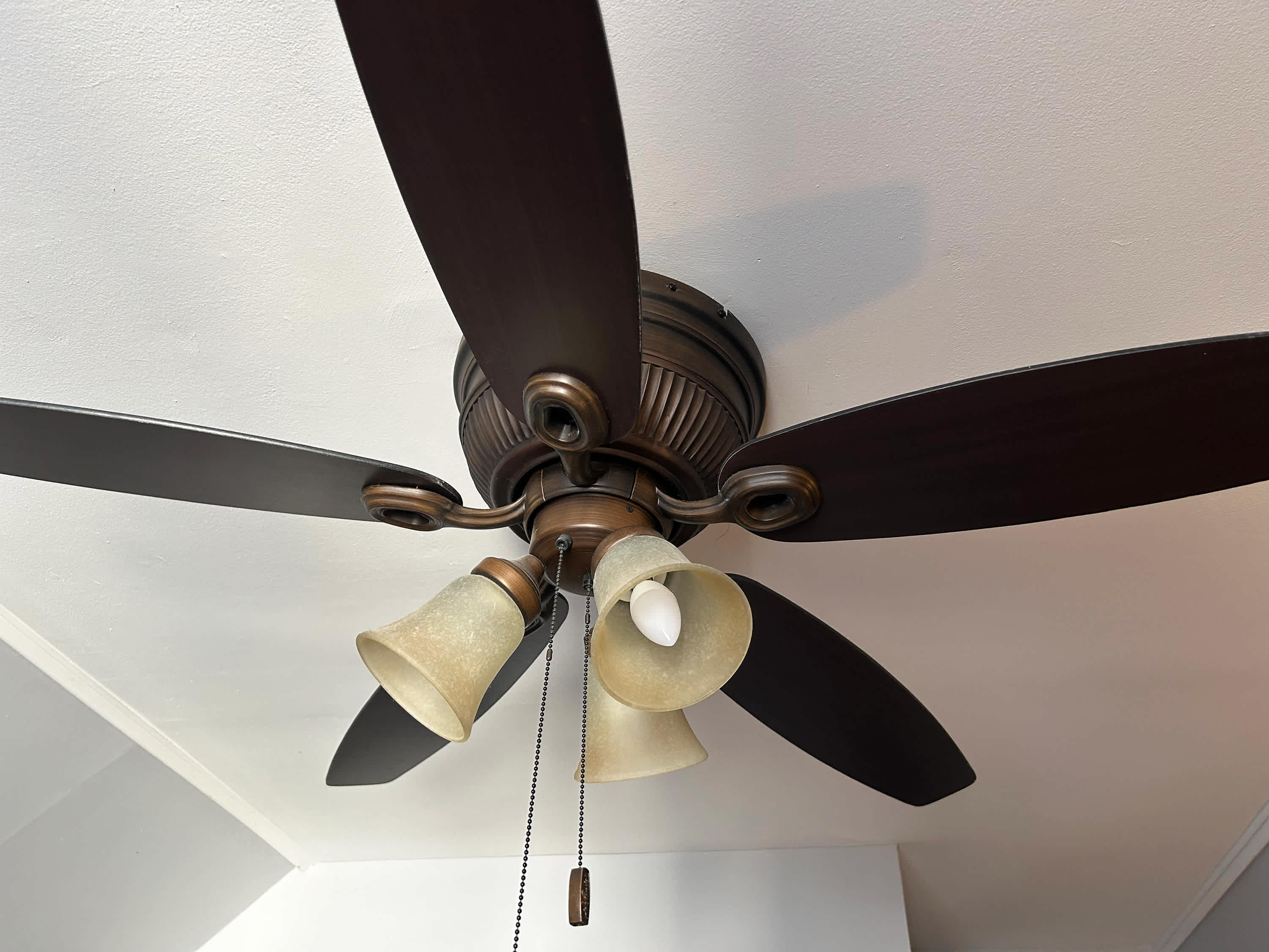 About Barbara Bellesi Zito | Apartment Therapy