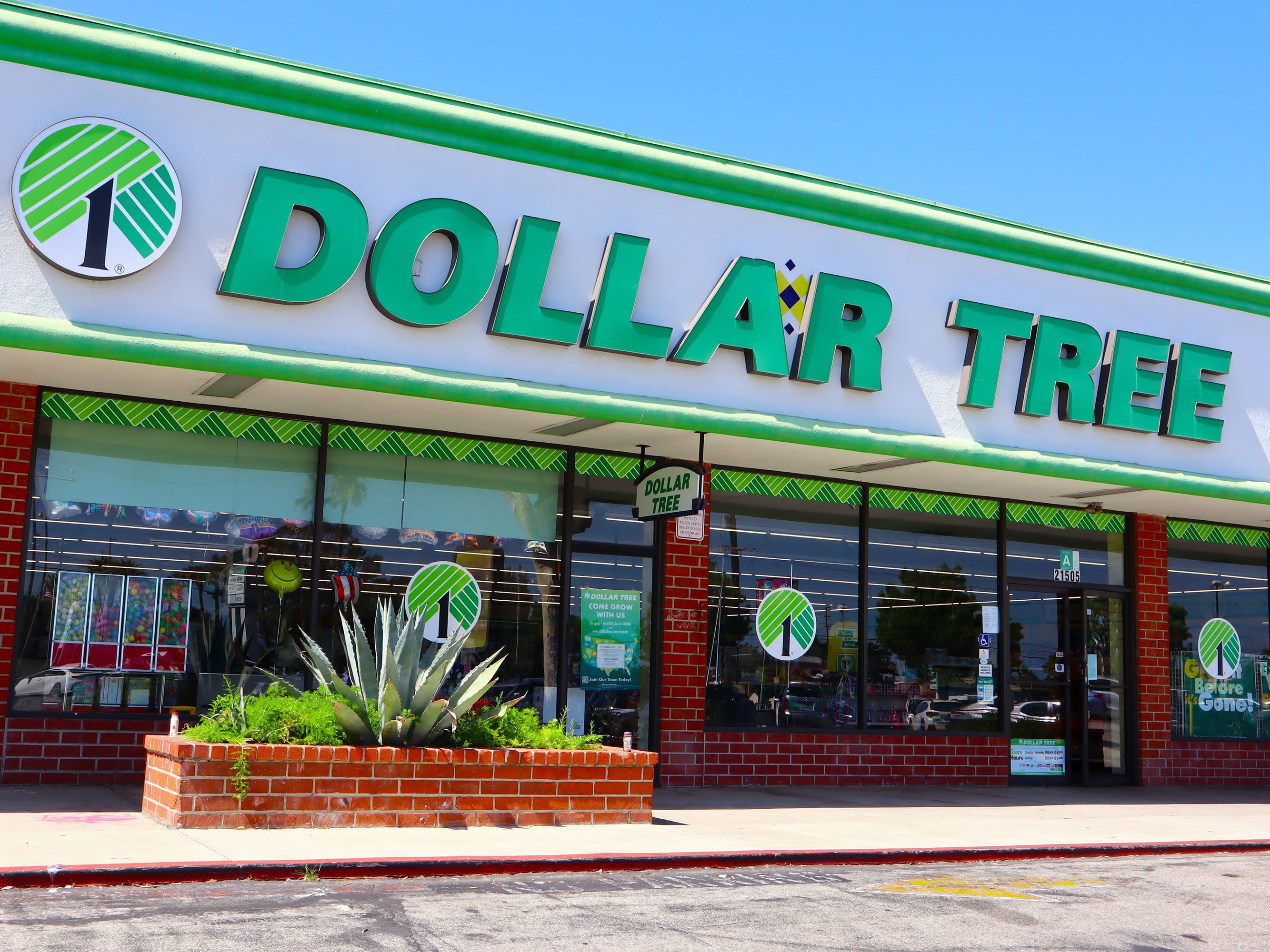 Olive Trees Are Back at Trader Joe’s | The Kitchn