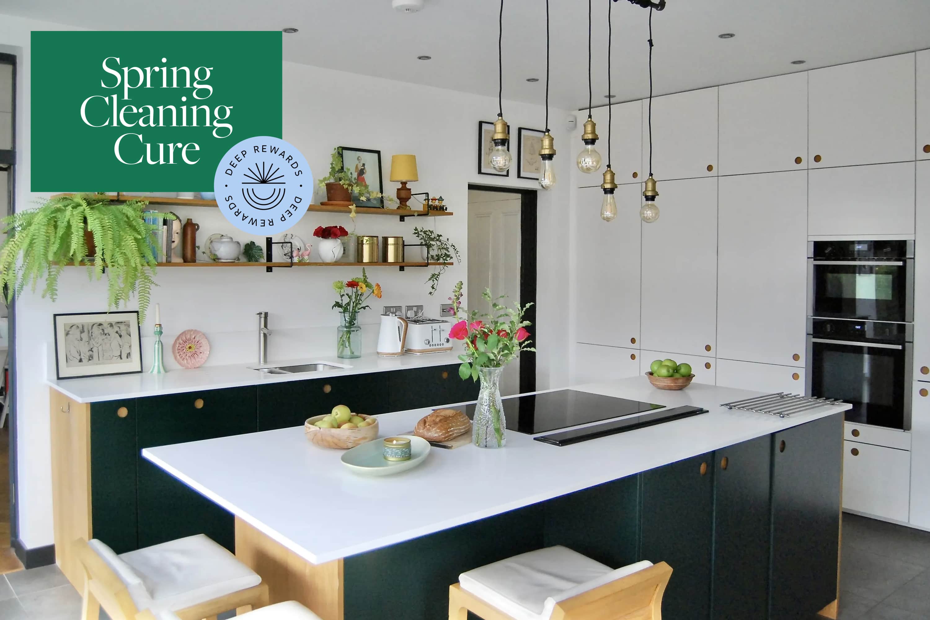 Apartment Therapy’s Cure Program | Apartment Therapy