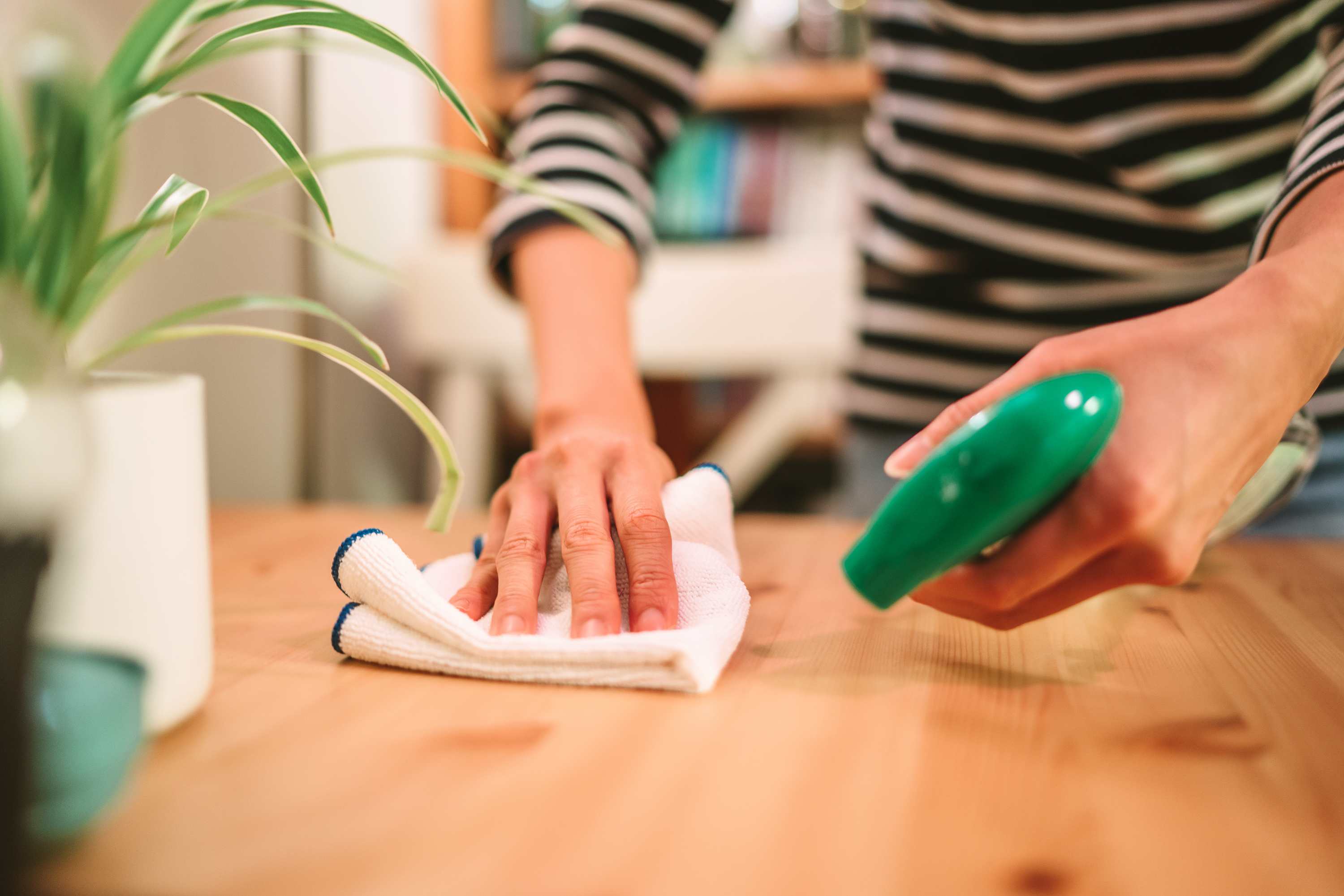 About Shifrah Combiths | Apartment Therapy