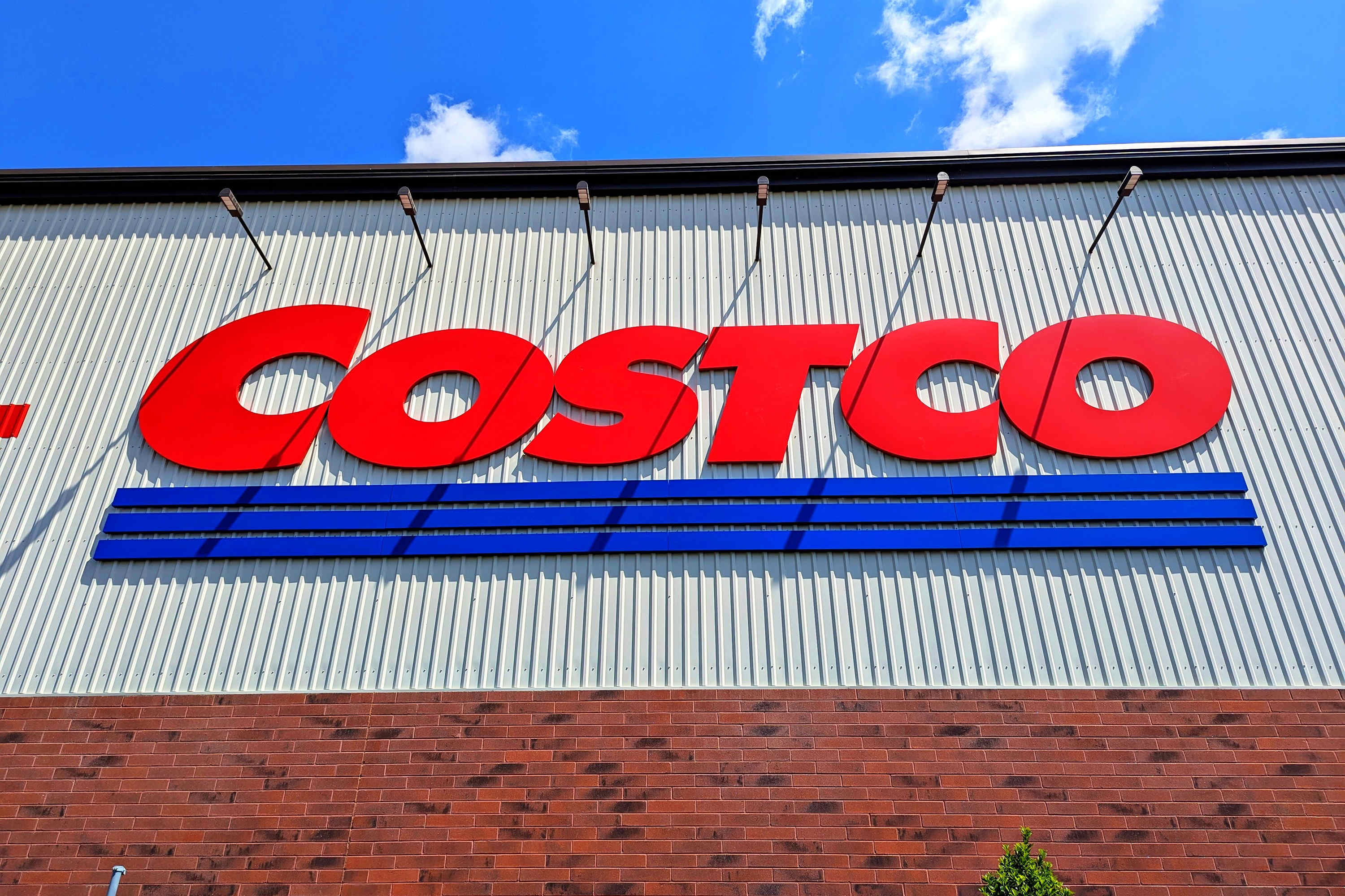 The Viral Blackstone Griddle Is Finally Available at Costco — For a ...