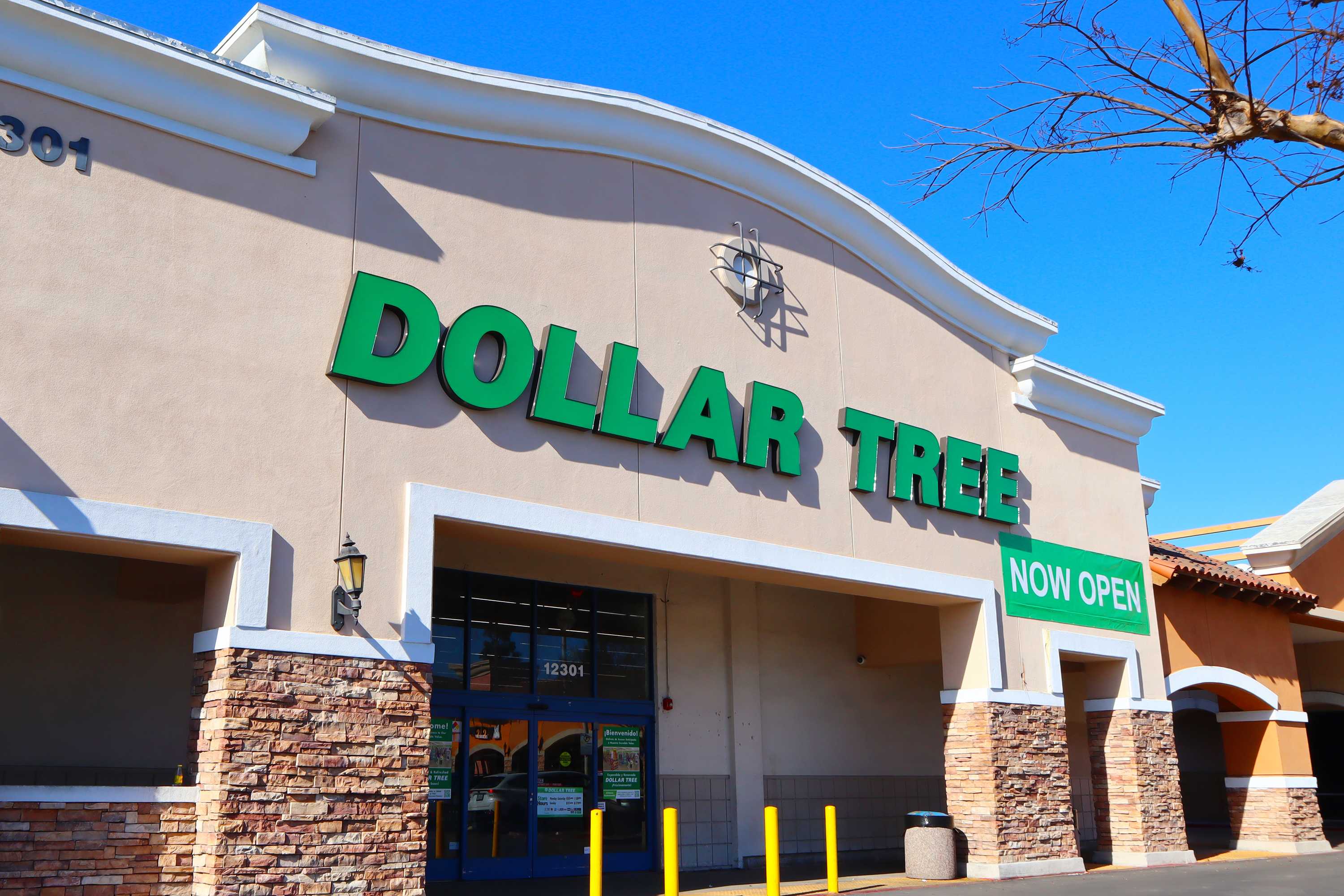 The "Woodland" Plates Everyone Is Loving at Dollar Tree Right Now | The ...