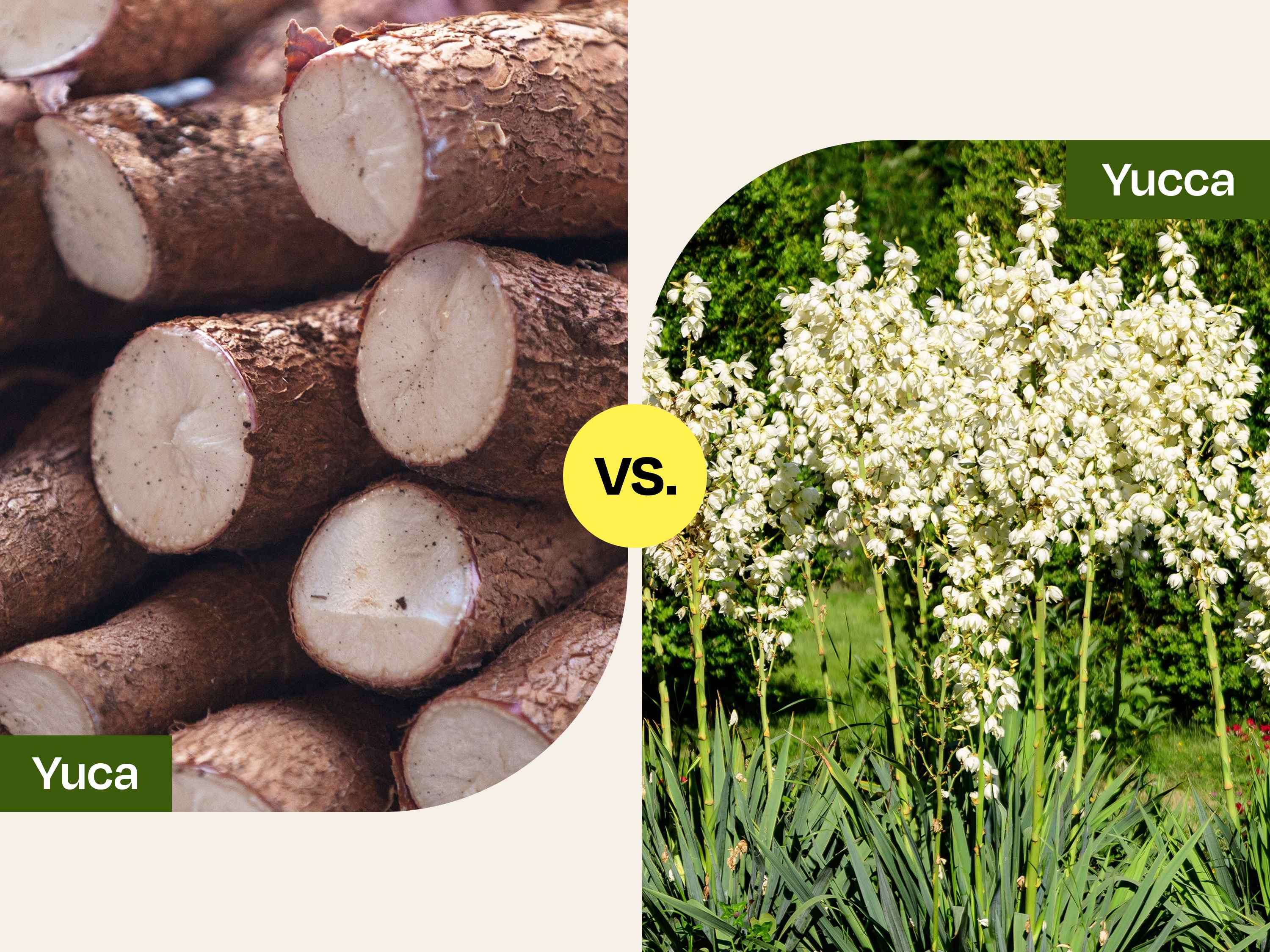 What To Make With... | The Kitchn