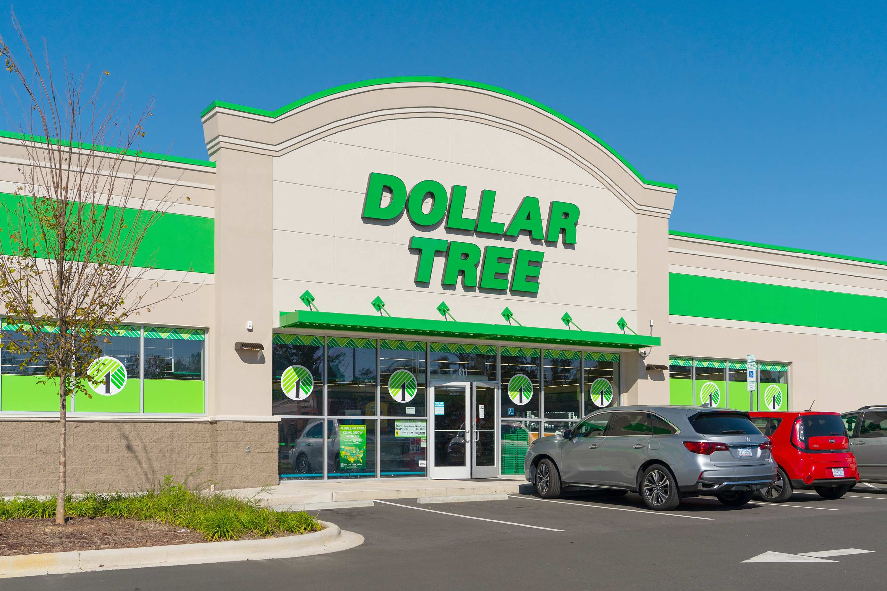 Dollar Tree Valentine’s Find Looks Like Williams Sonoma | The Kitchn